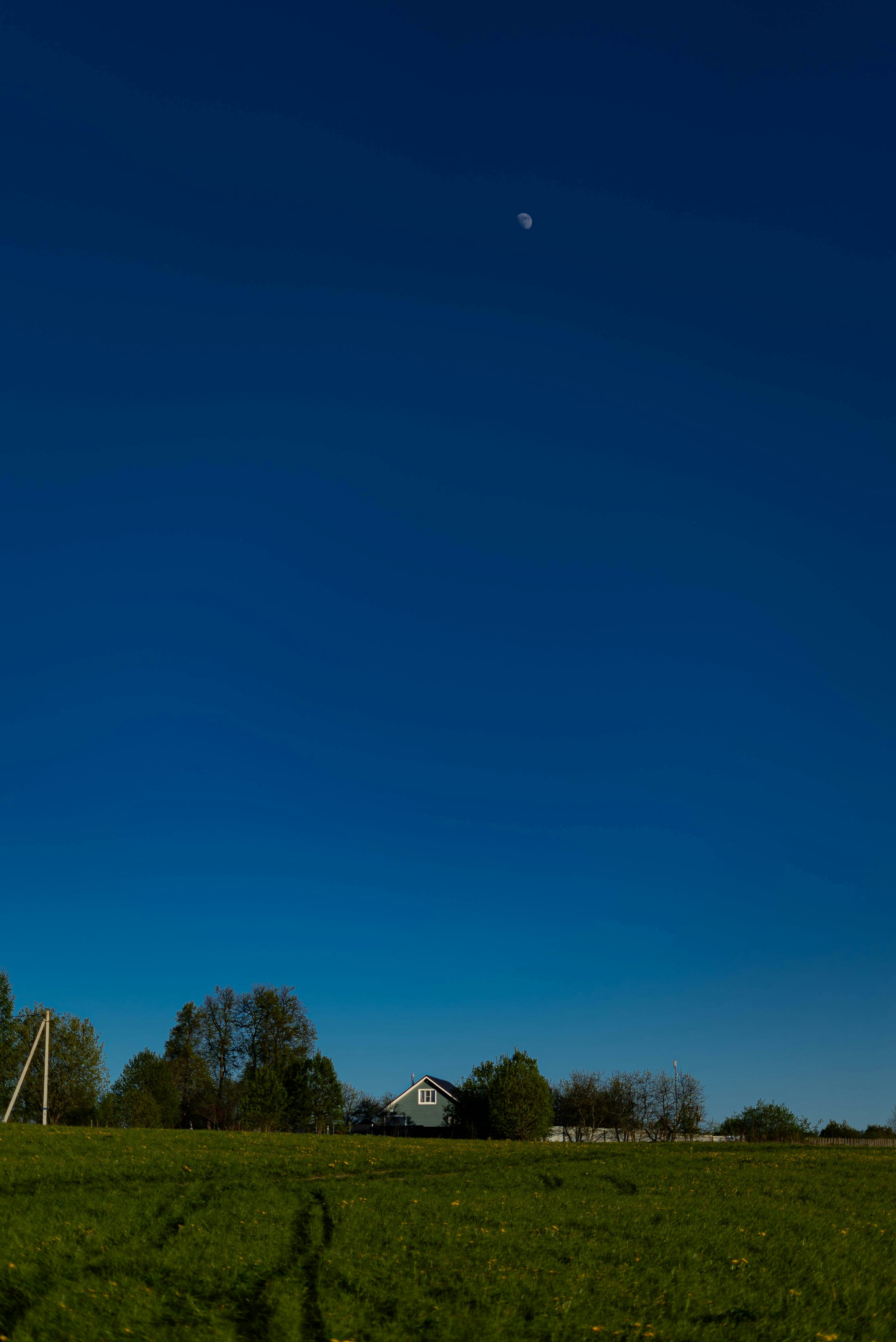 Moon Over the Quiet Meadow