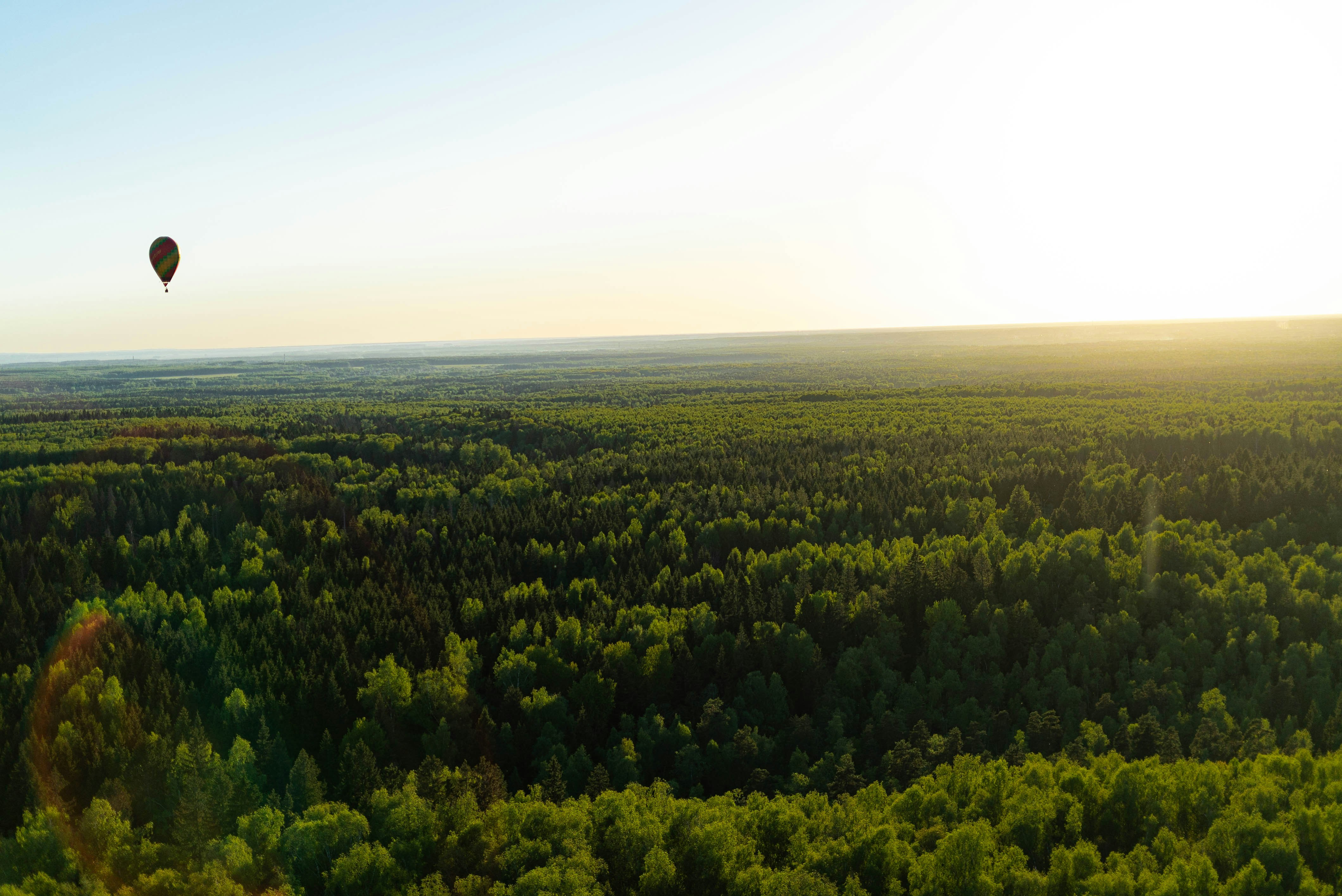 A hot air balloon flying over a forest photo – Free Forest Image on ...