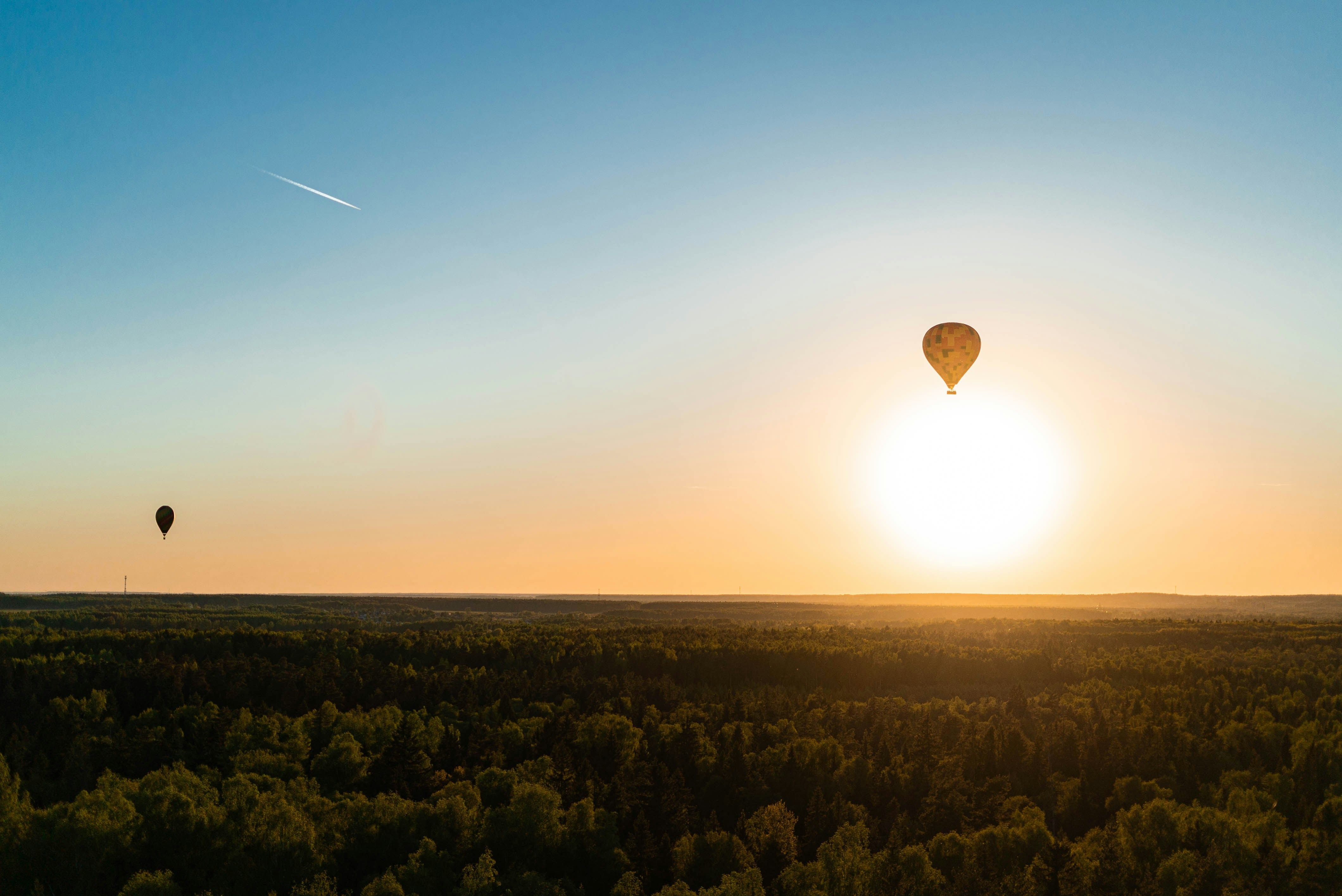 Two hot air balloons drift gracefully over a lush forest landscape as the sun rises on the horizon.
