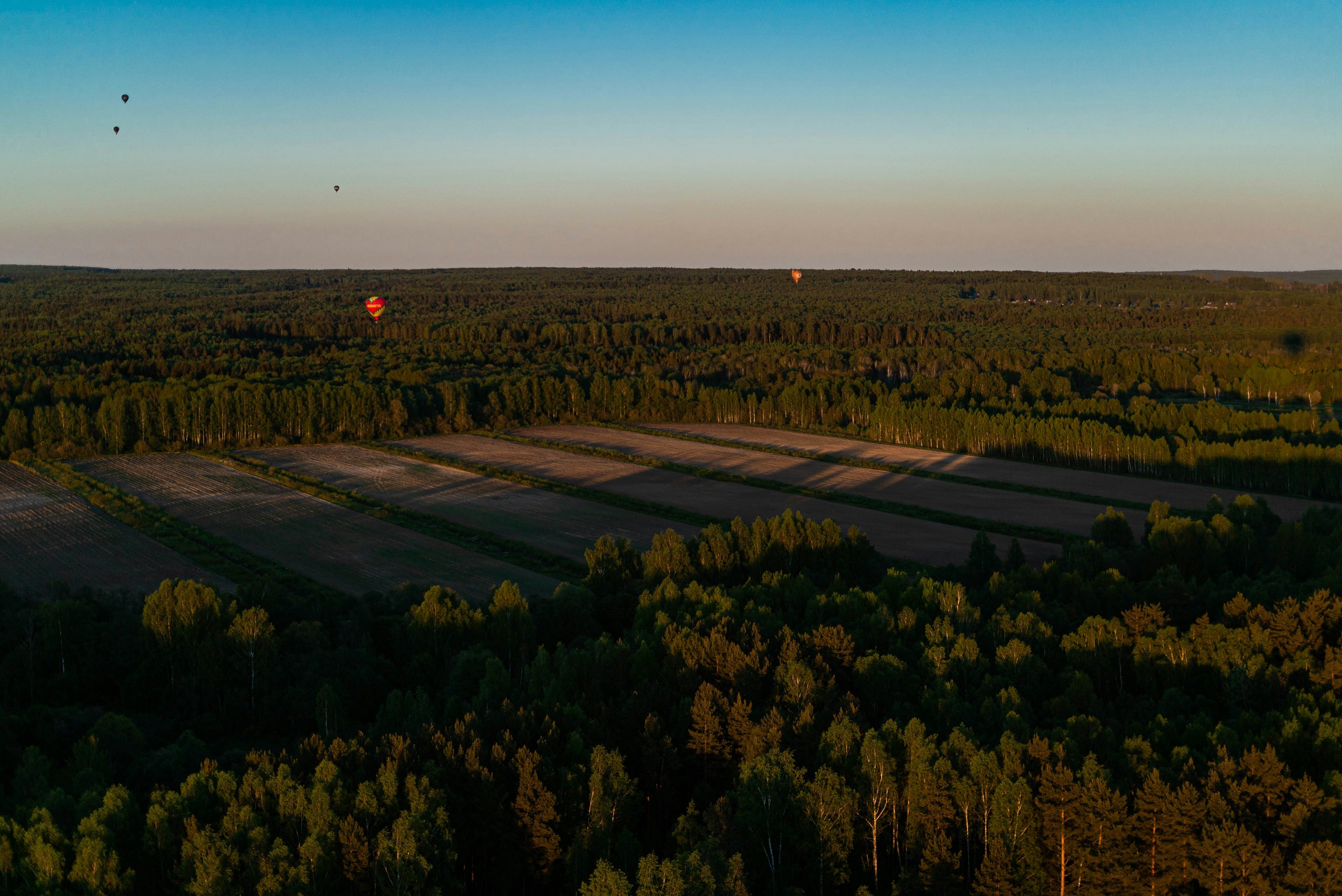 Amber Horizon Drift: Balloons Above a Quiet Forest Plain at Sunset