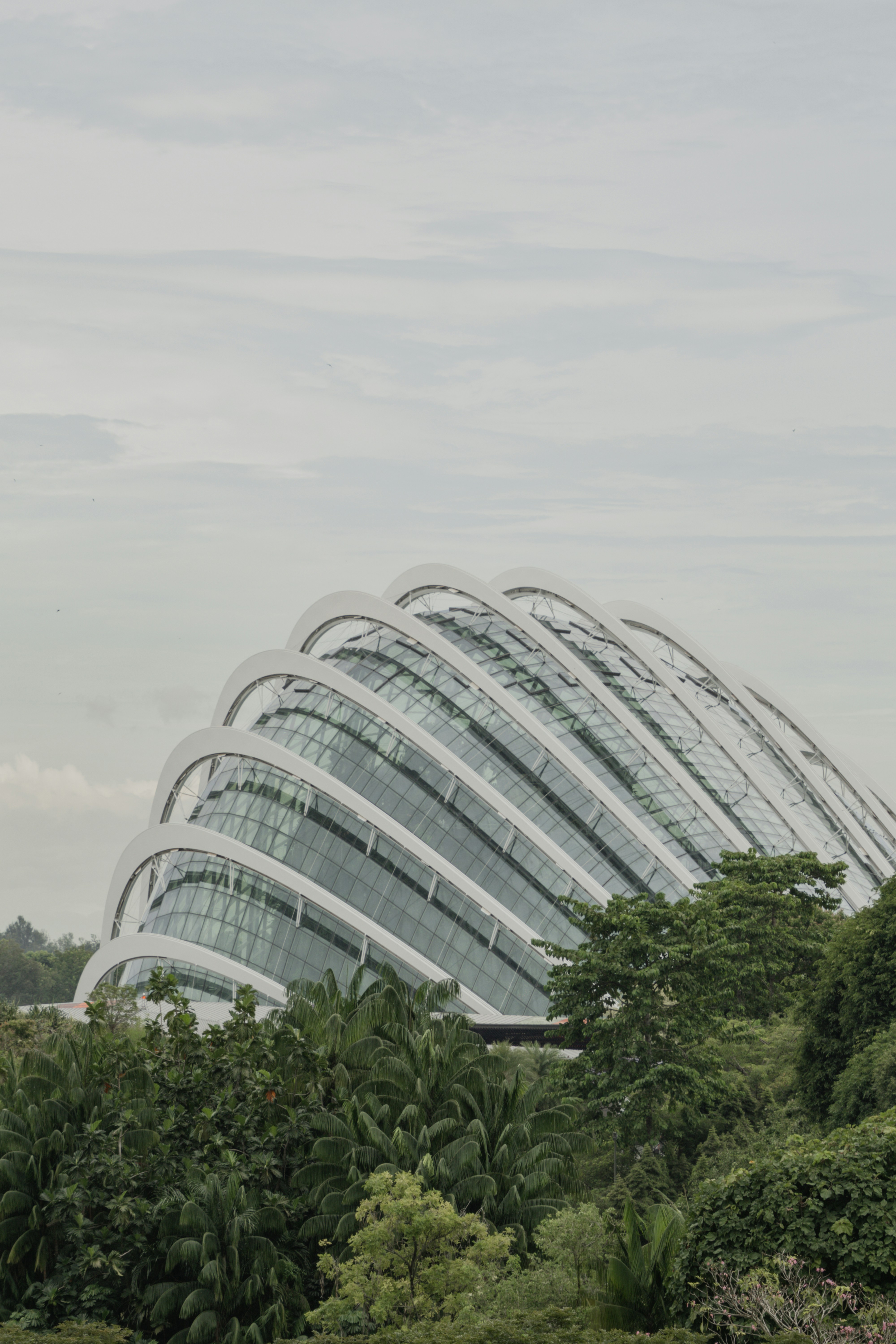 Glass-Arch Frieze Rising Above Emerald Canopy
