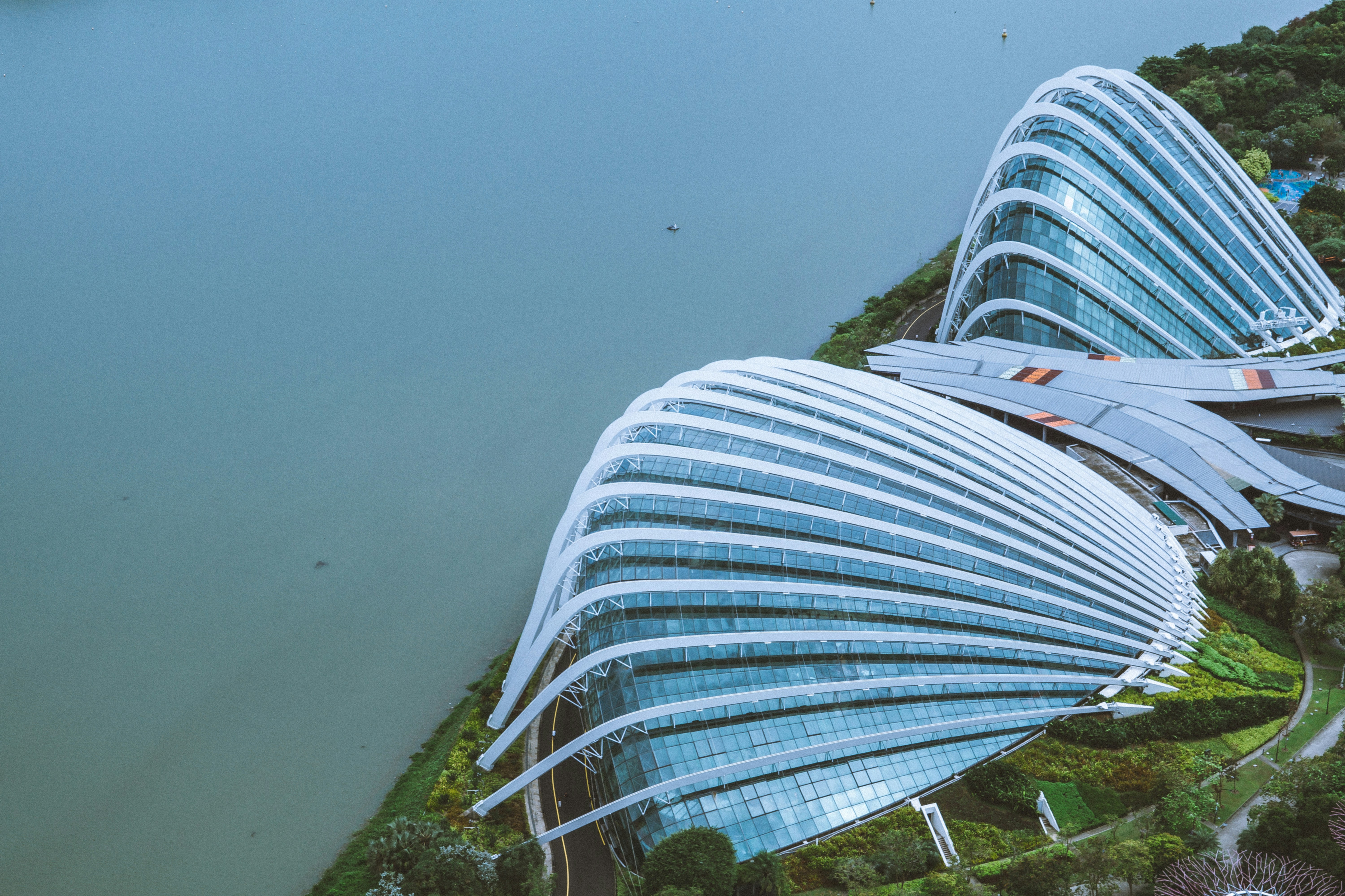 Photo by Chris Johnson with Sony Alpha 6000