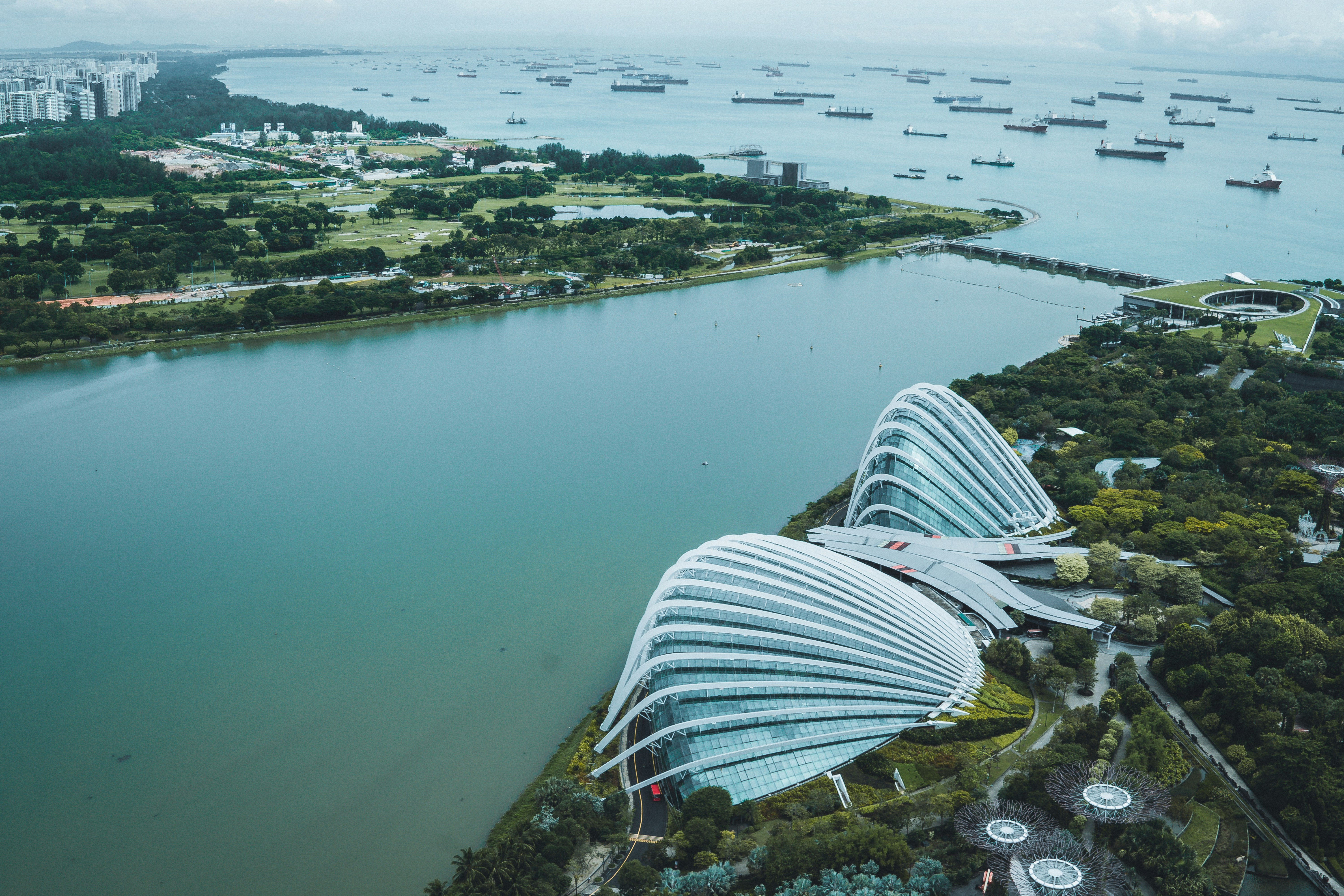 Architectural Wings Over a Lagoon