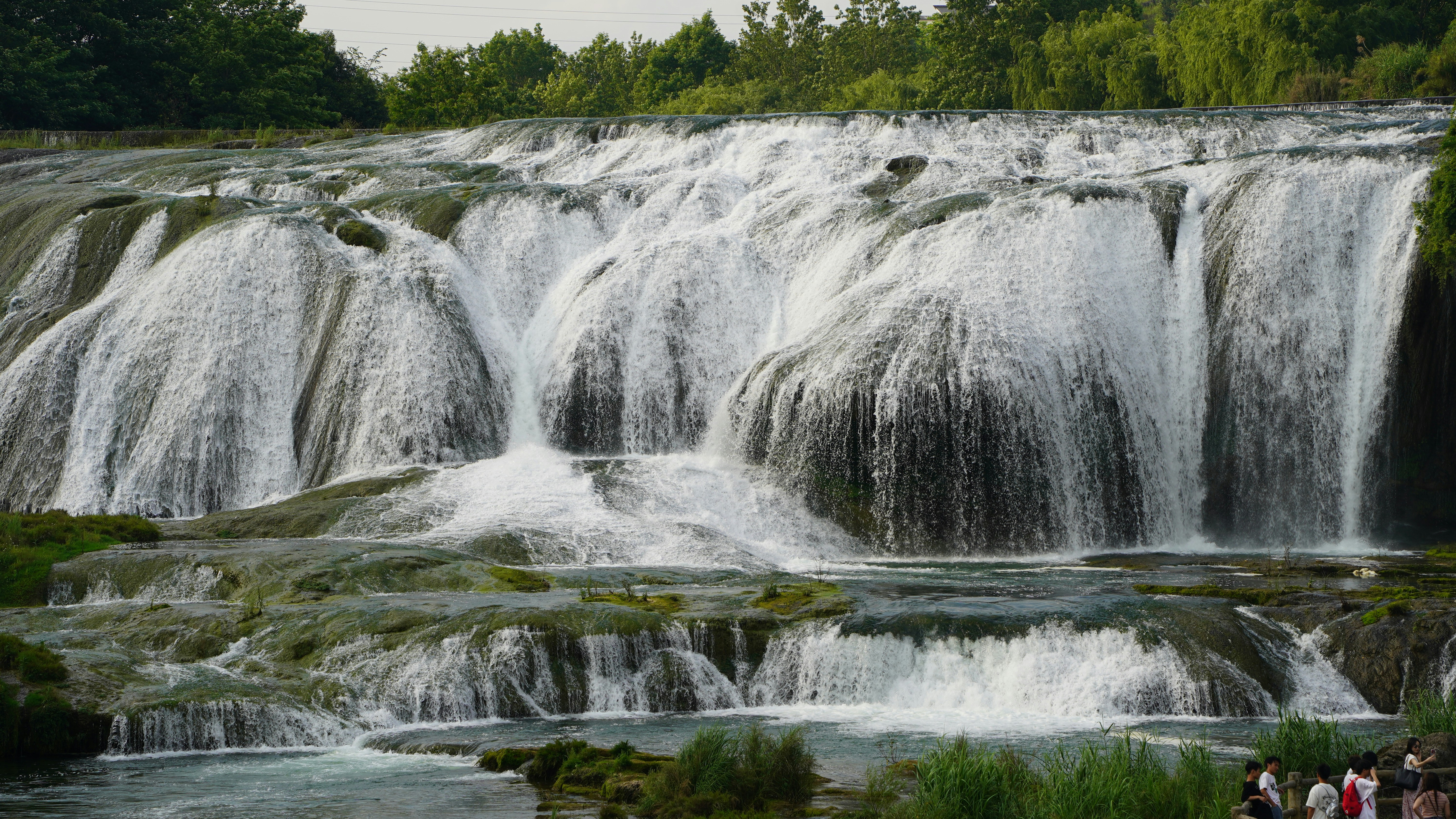 Photo by Yaqing Wei with Sony Alpha 7 III
