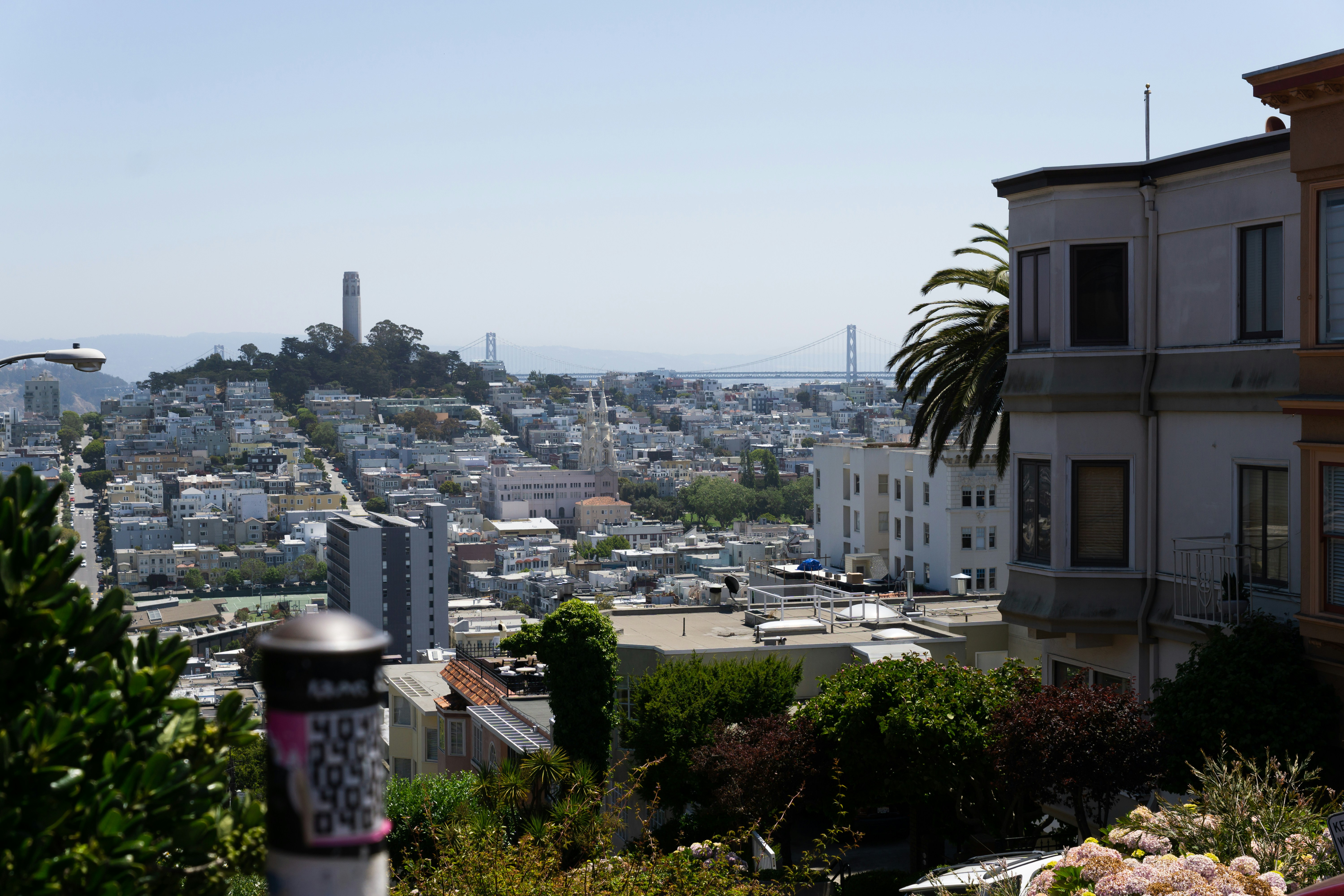 Urban Horizon: A Glimpse of San Francisco's Iconic Skyline