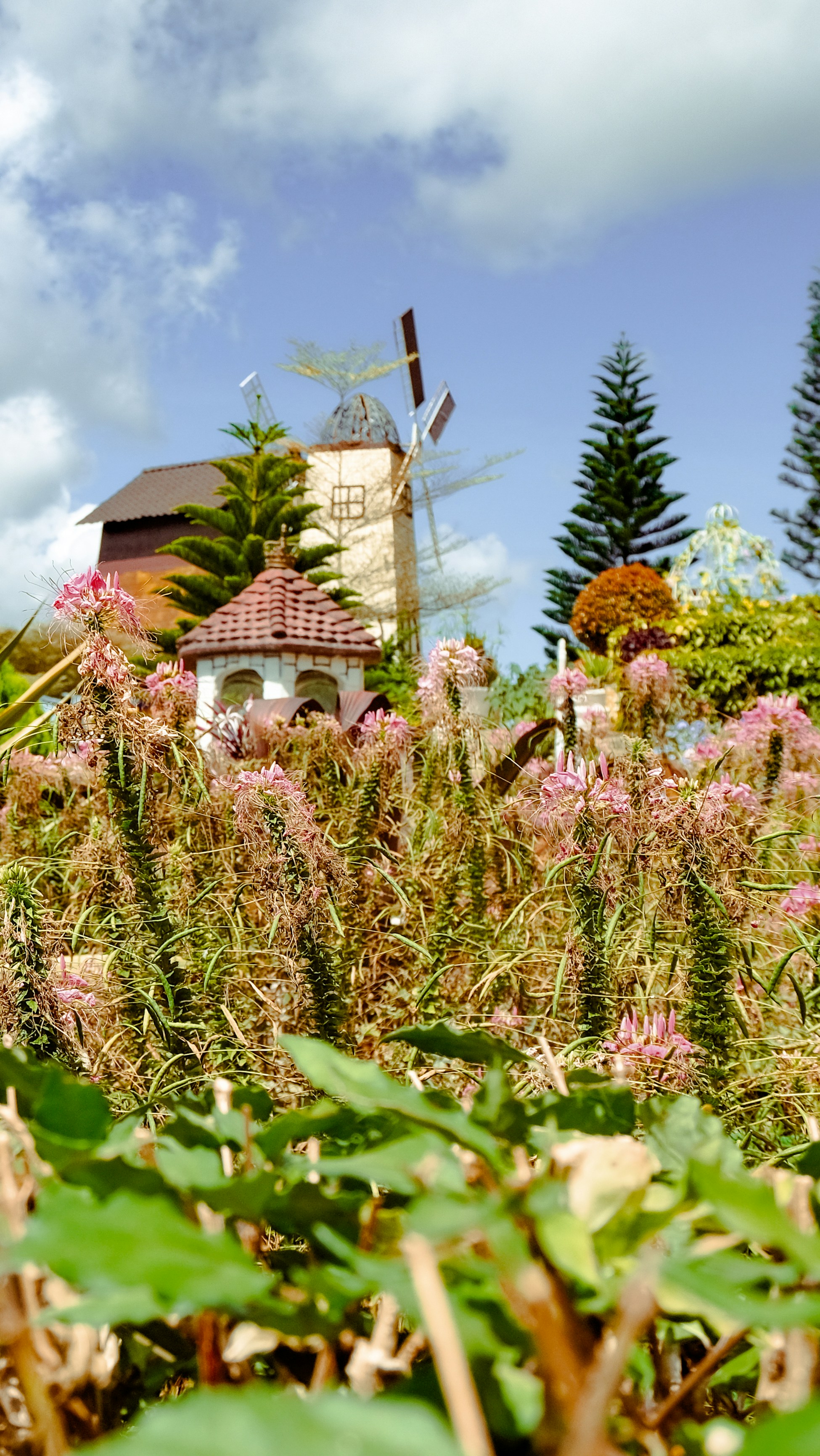 Whimsical Miniature Village Rising Through Wildflowers