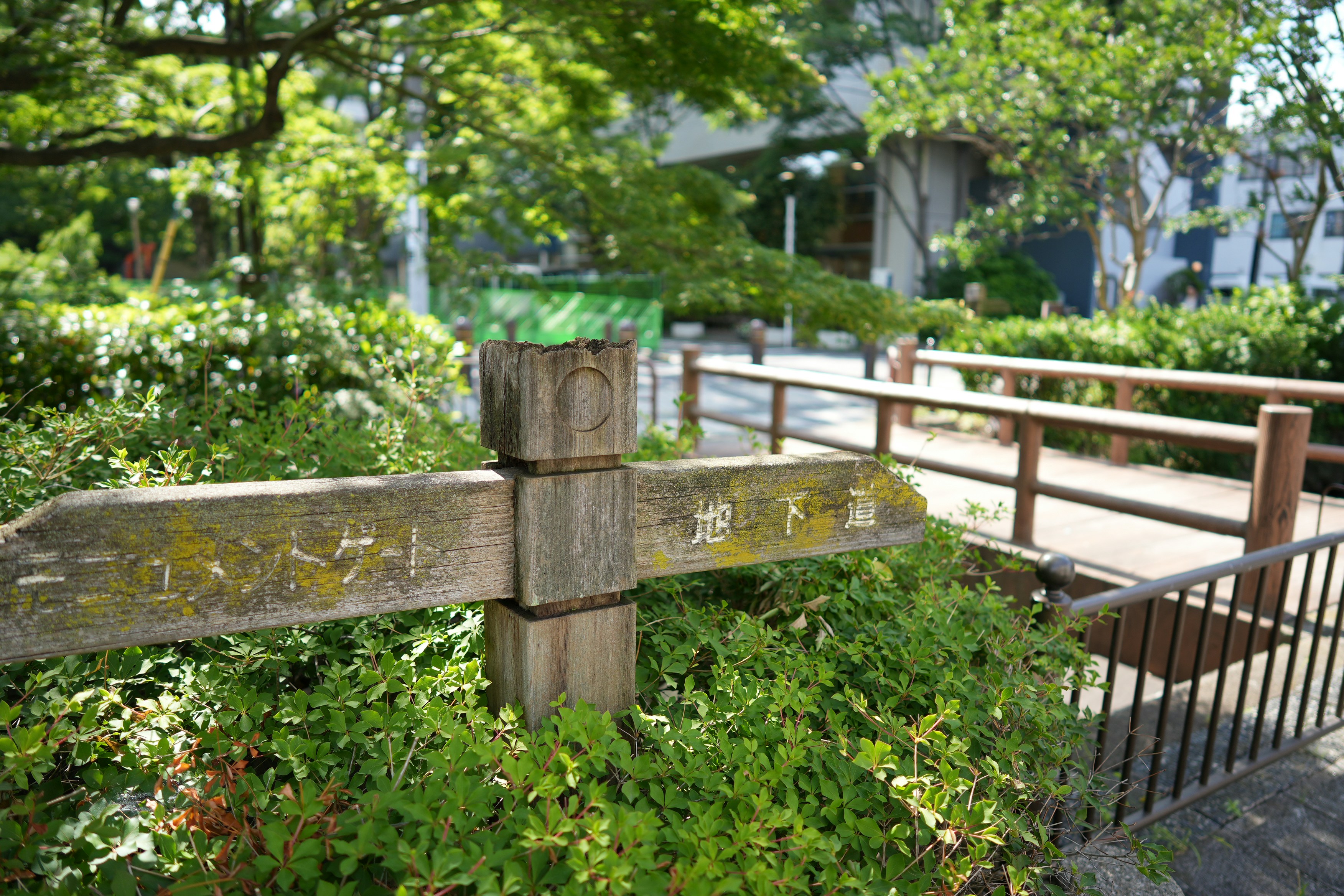 Weathered Cedar Post Framing a Sunlit Garden Path