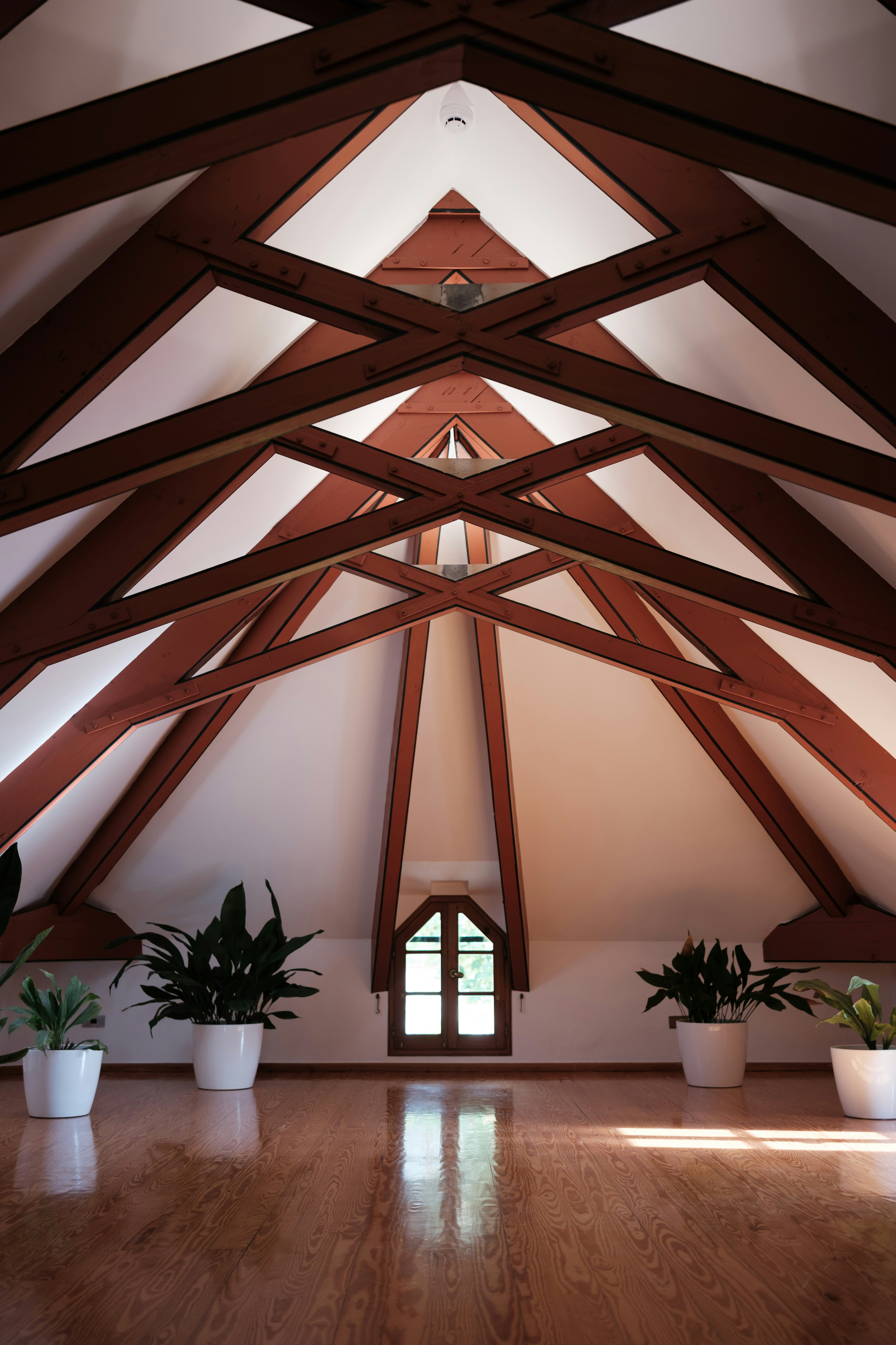 Loft Geometry: Interlaced Timber Trusses Meet Morning Light