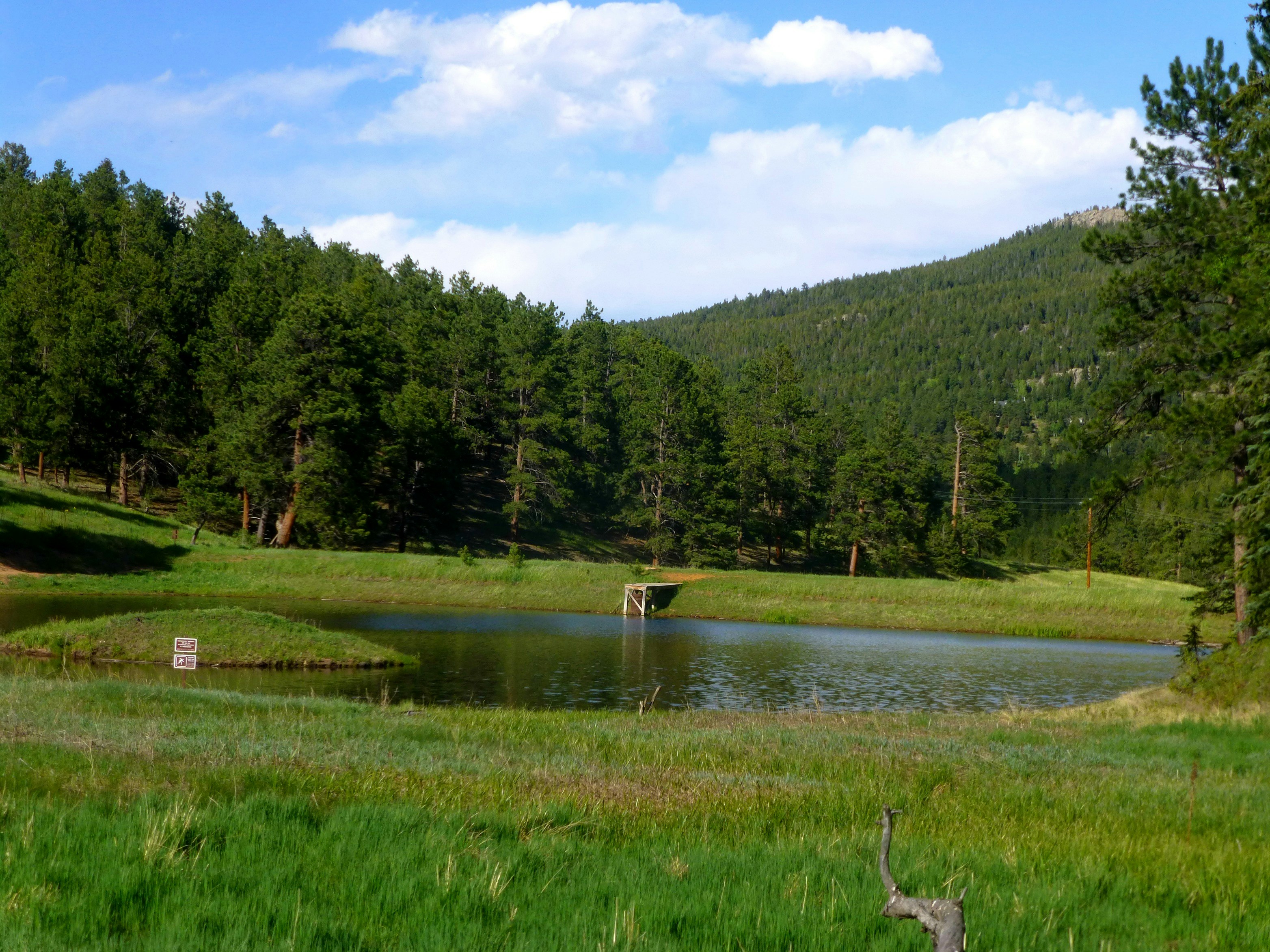 Sample photo from Panasonic Lumix ZS20