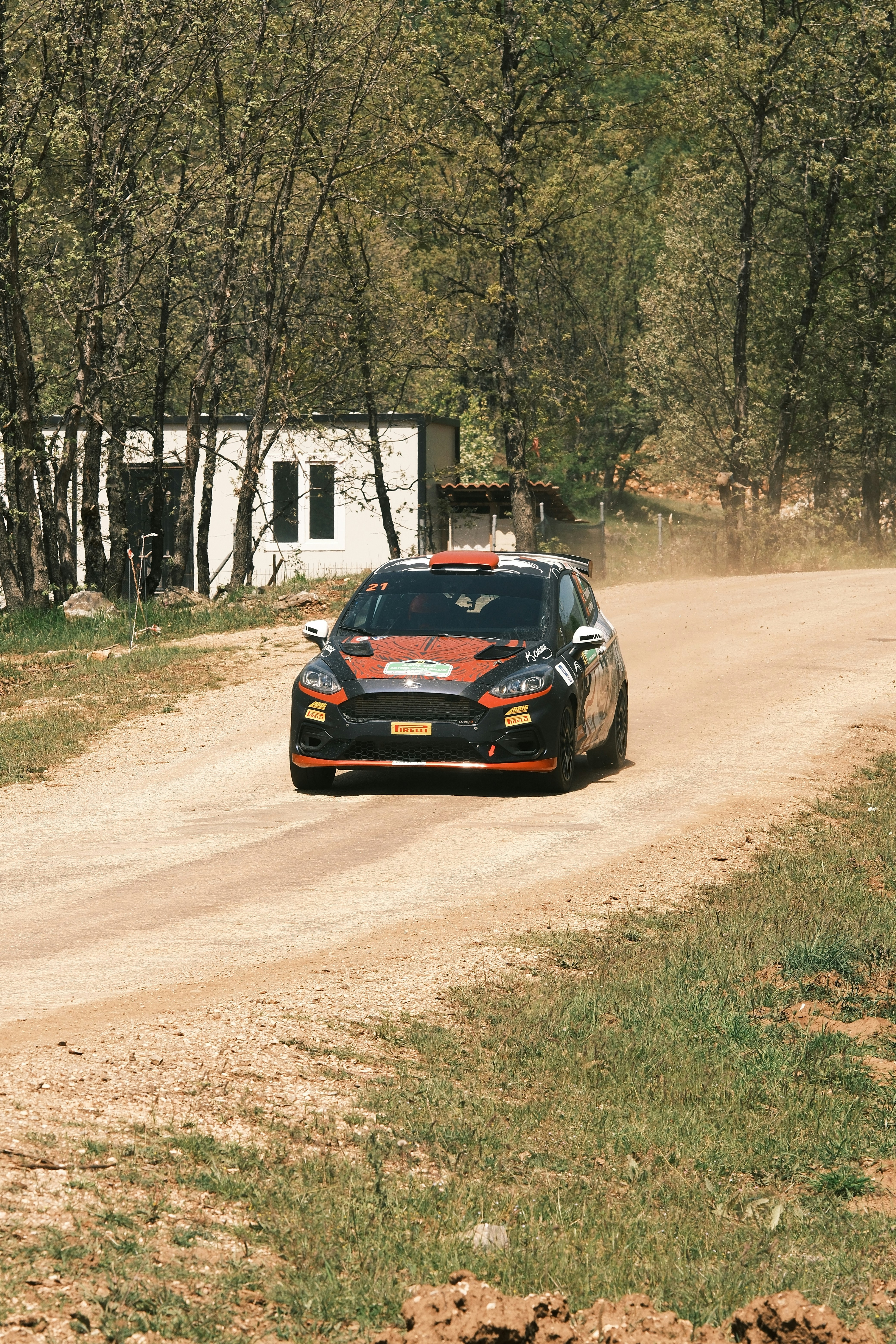 Red-Accented Rally Car Conquers a Dusty Rural Road Through a Pine Corridor