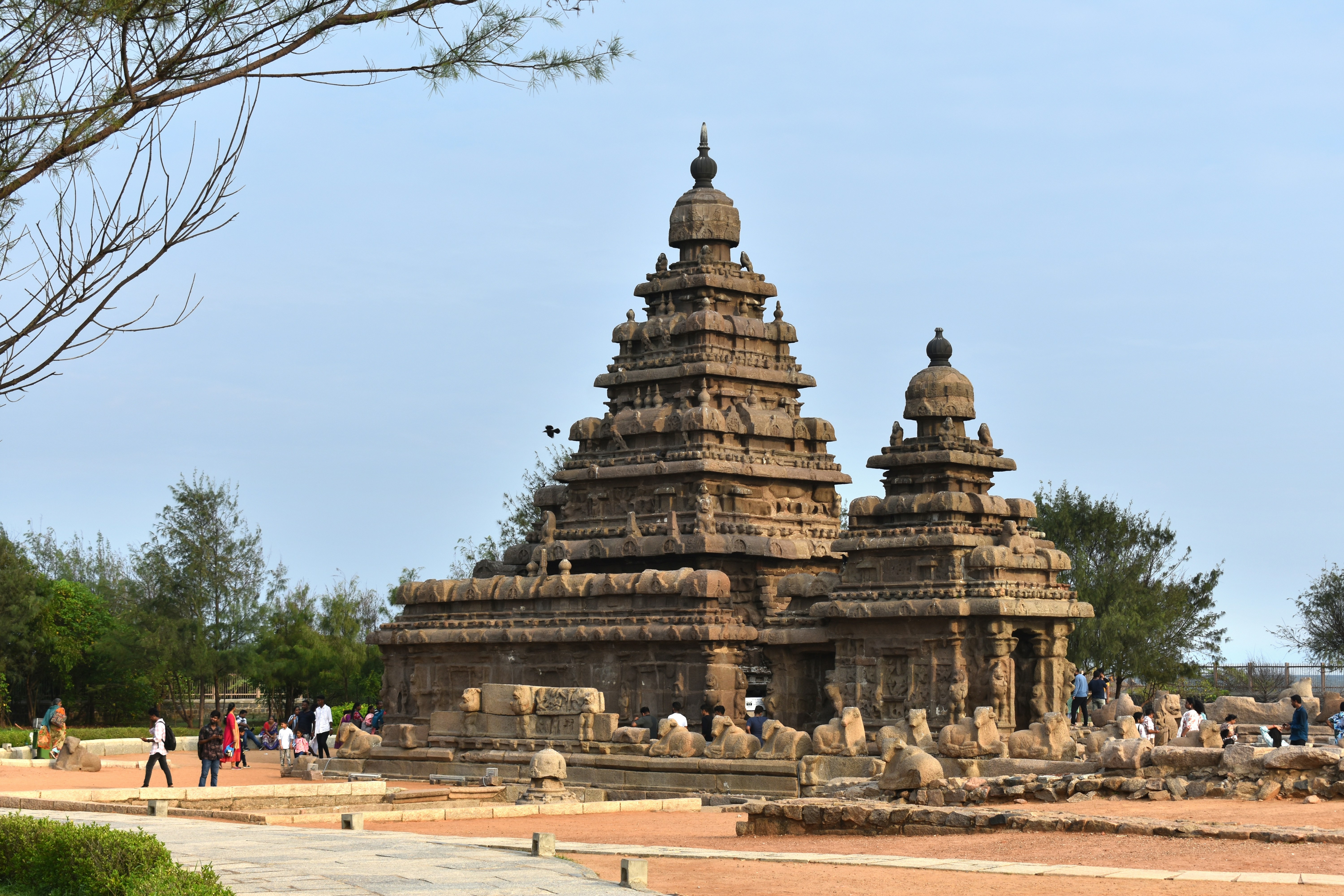 The stone cut 8th century Shore Temple, Mamallapuram or Mahabalipuram on the Coromandel Coast, Tamil Nadu, India is a UNESCO World Heritage site [designated in 1984 along with other Mamallapuram monuments and temples]. [Photo: May 2024]