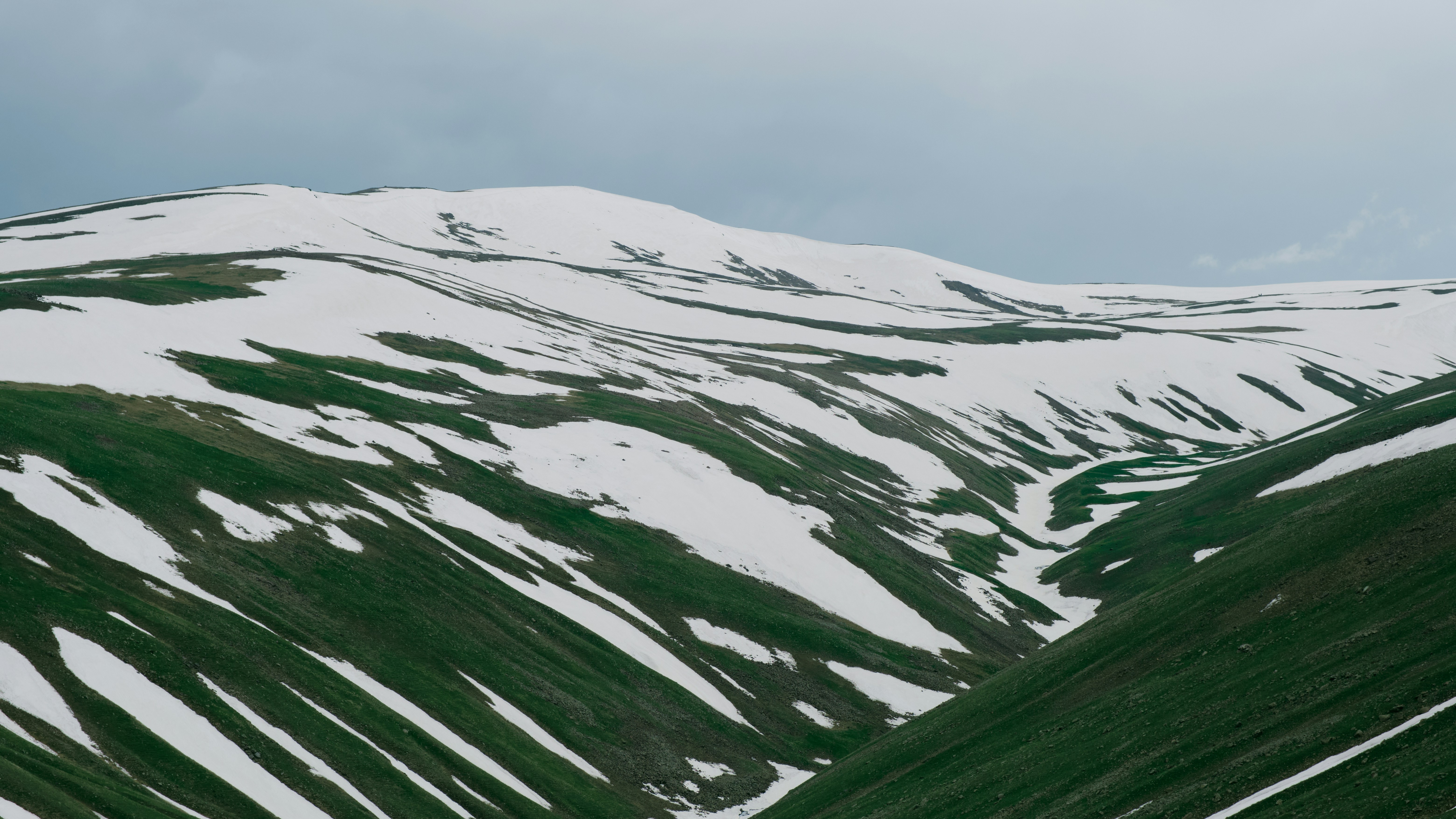 Green Veins Threading Snow-Crafted Alpine Ridges