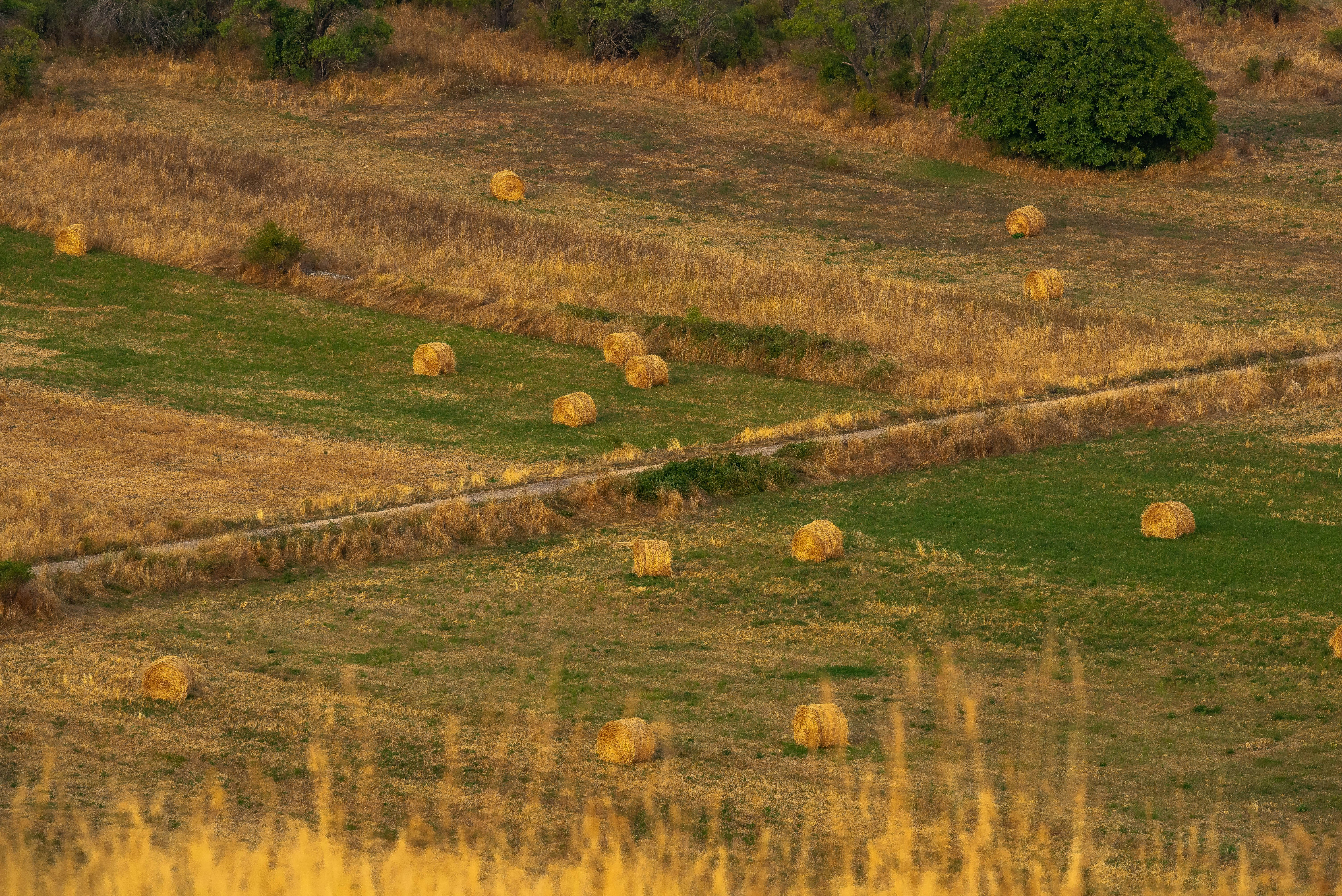Photo by Matteo Bellia with Nikon D750