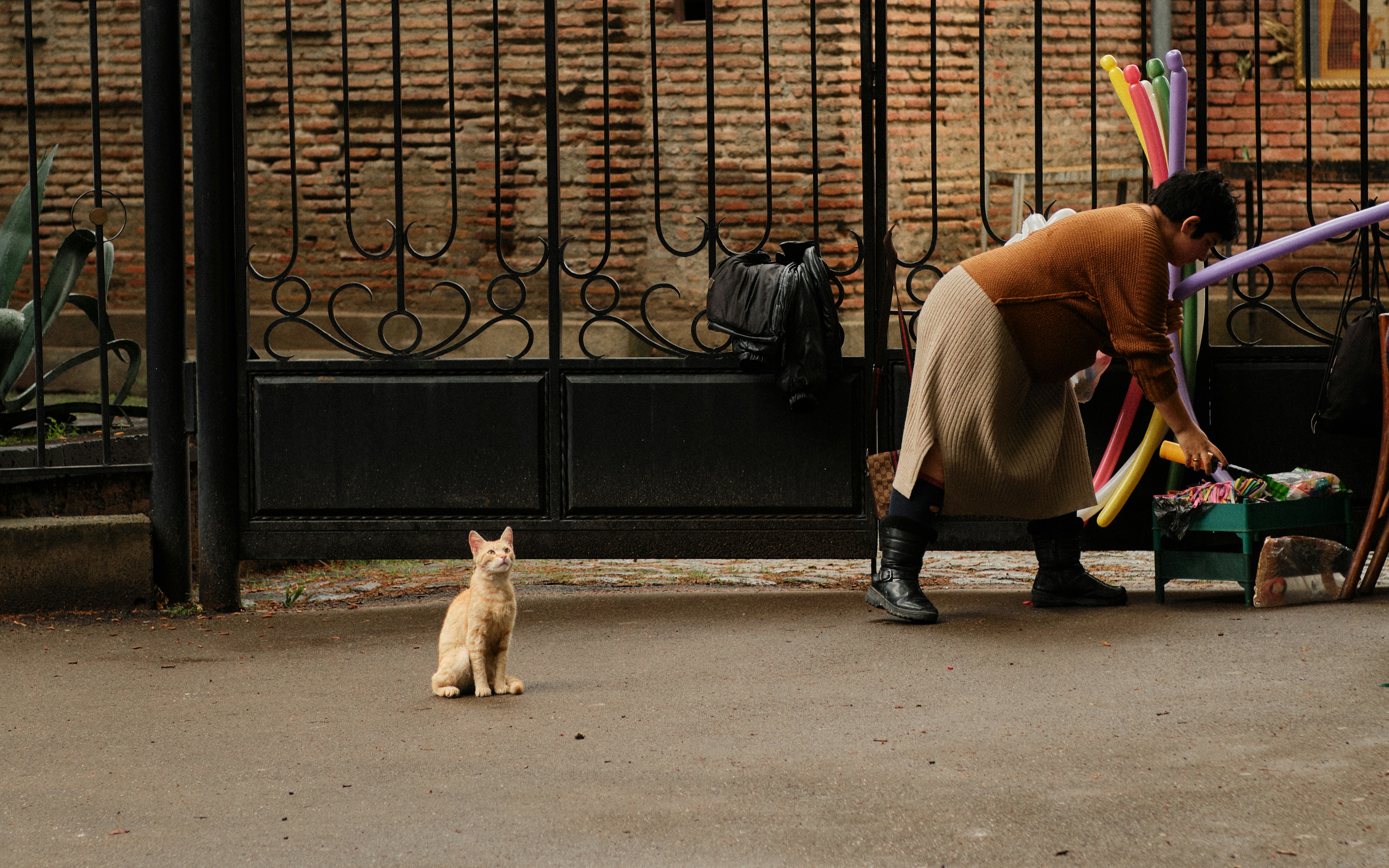 a woman bending over to pet a cat