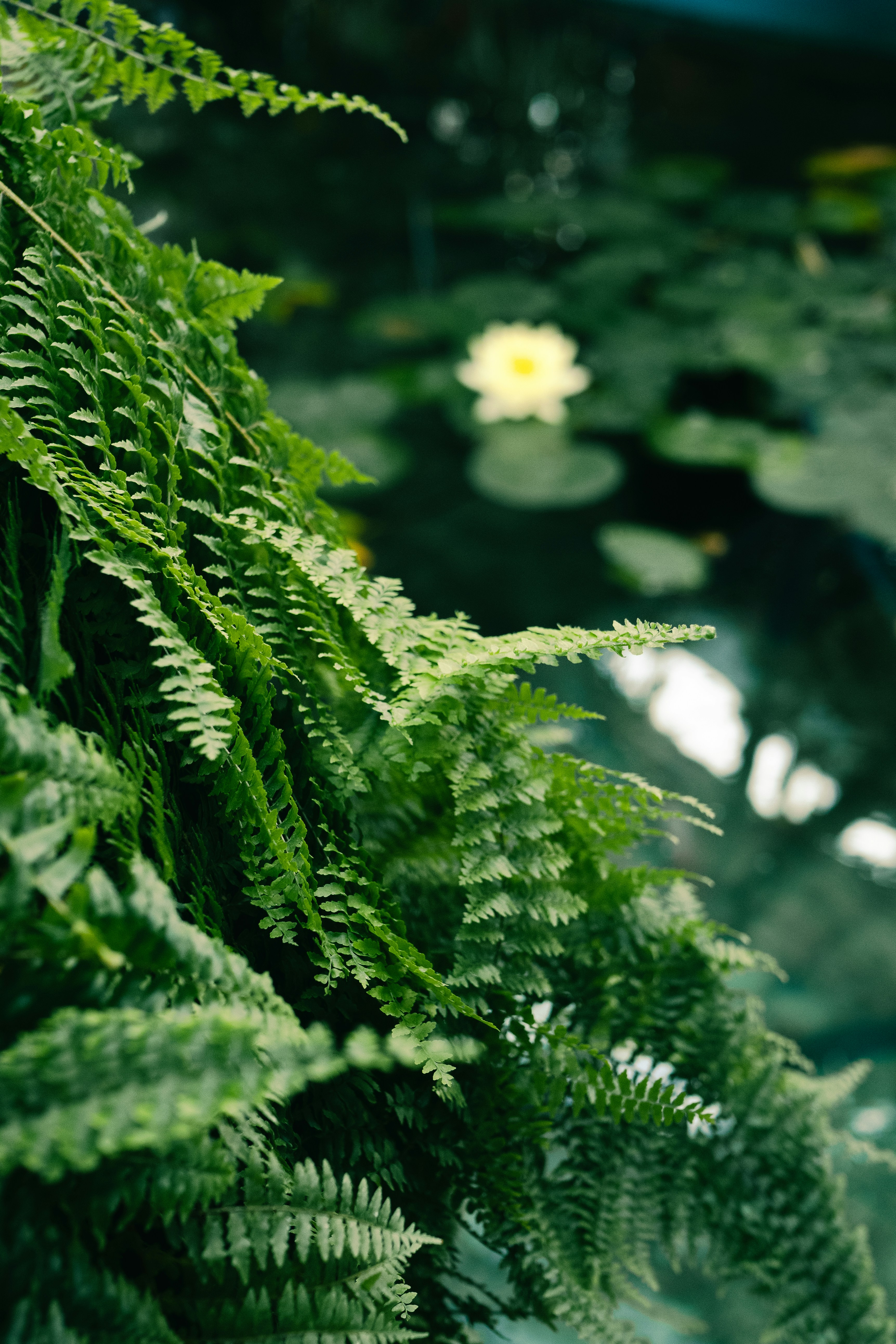 Photo by Anton Sidarau with Panasonic DC-G90