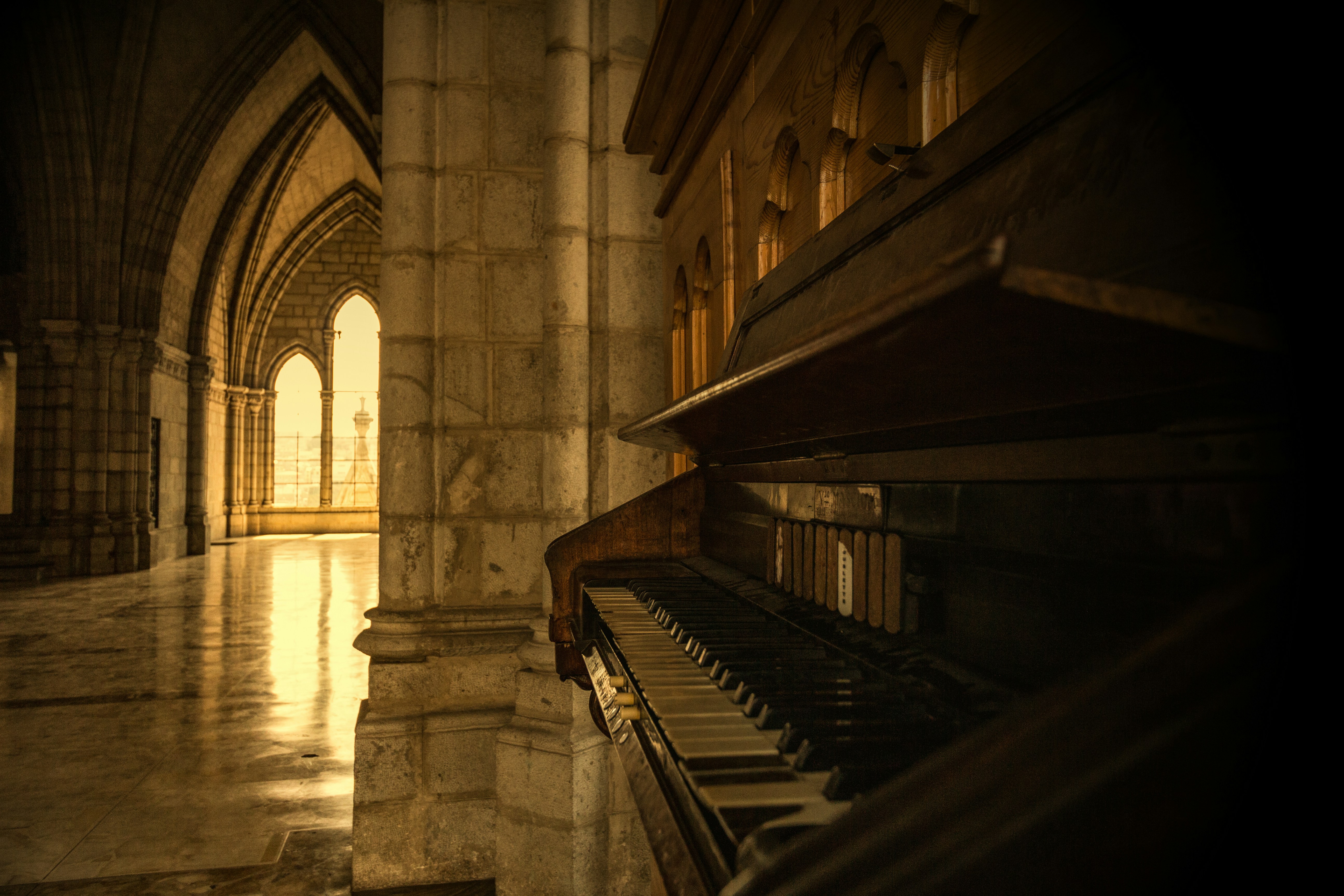 Melodies in Shadowed Stone