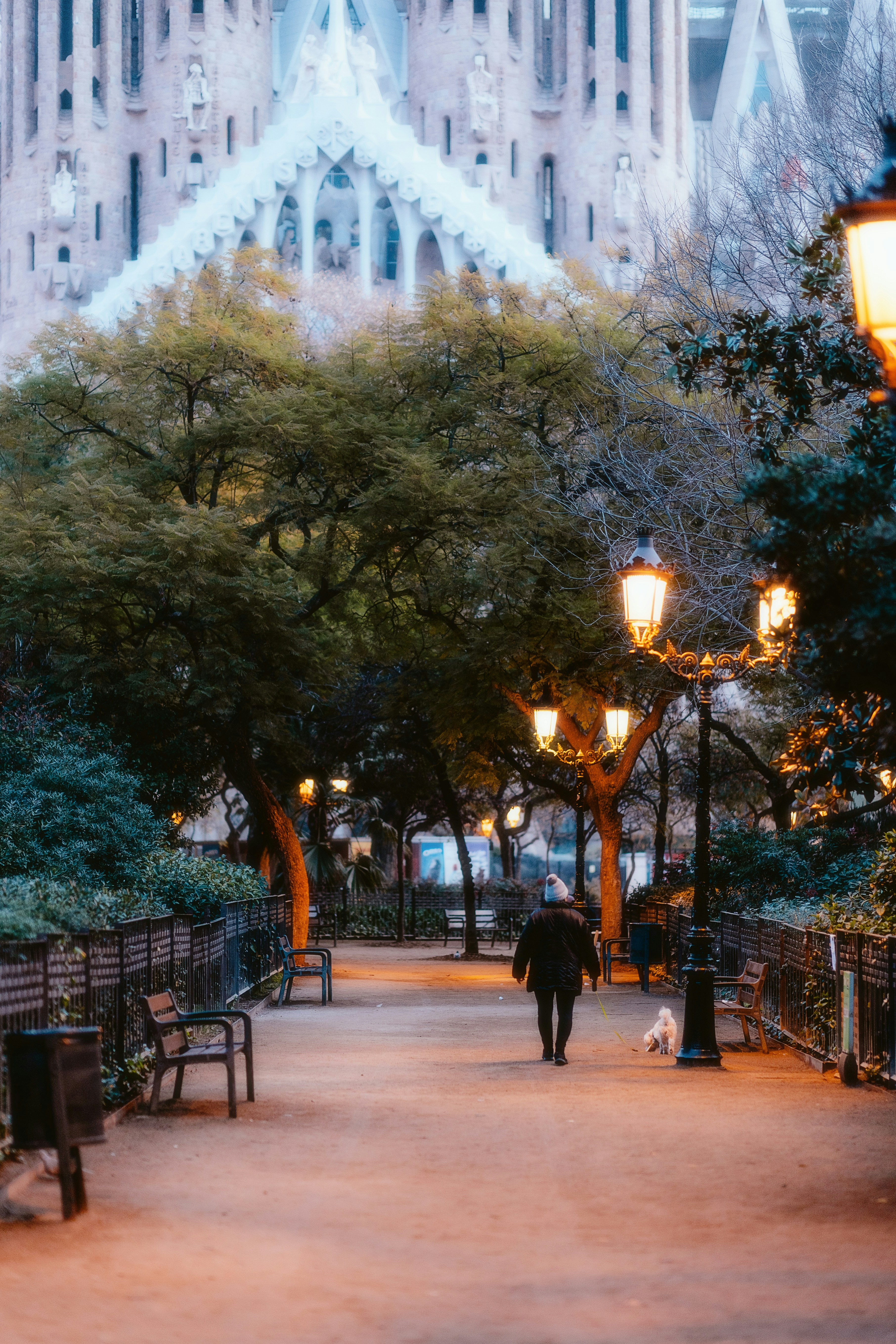 Evening Promenade Under Cathedral Spires: Lanterns, Trees, and a Quiet Path