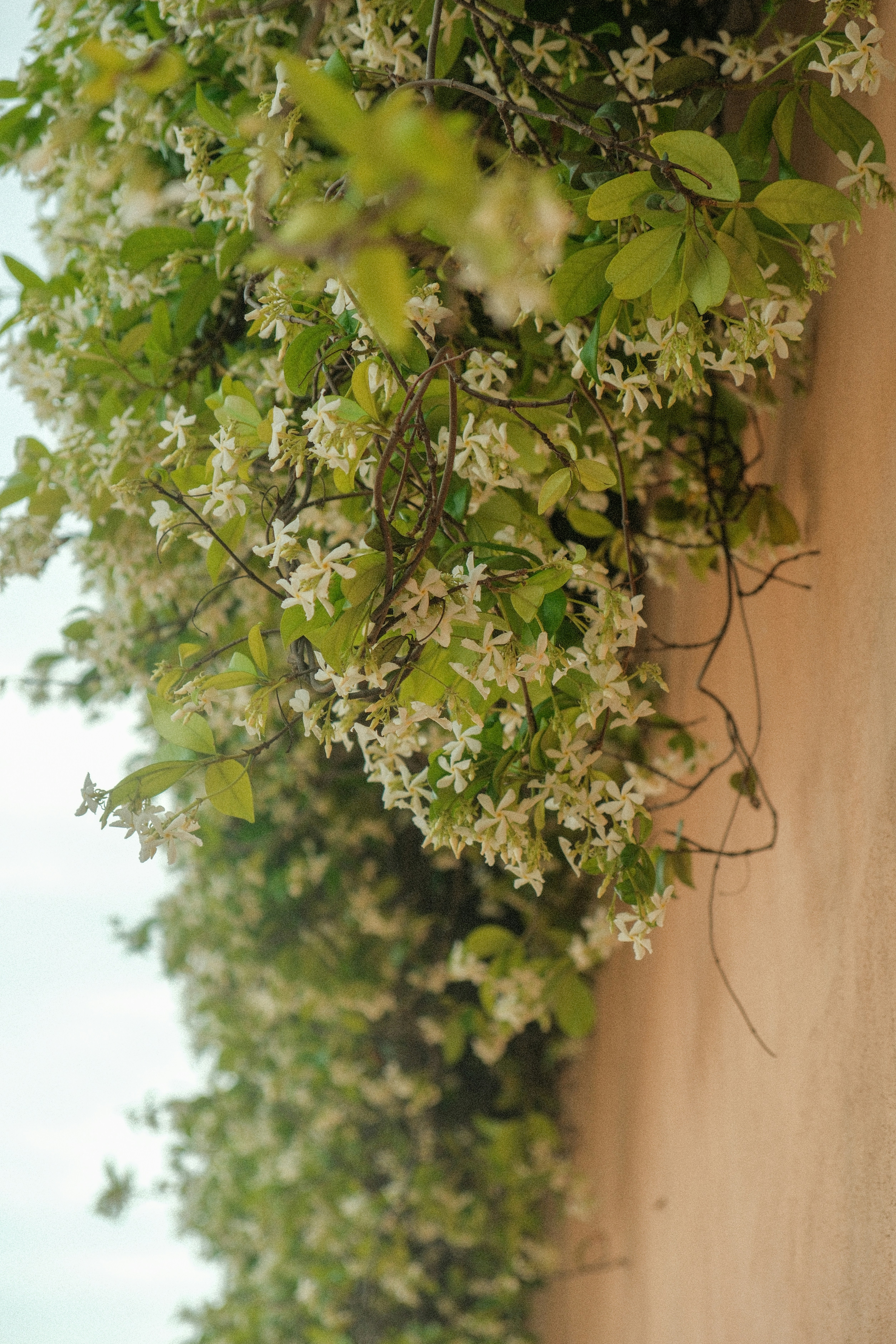 Photo by Alex Presa with Fujifilm X-T5