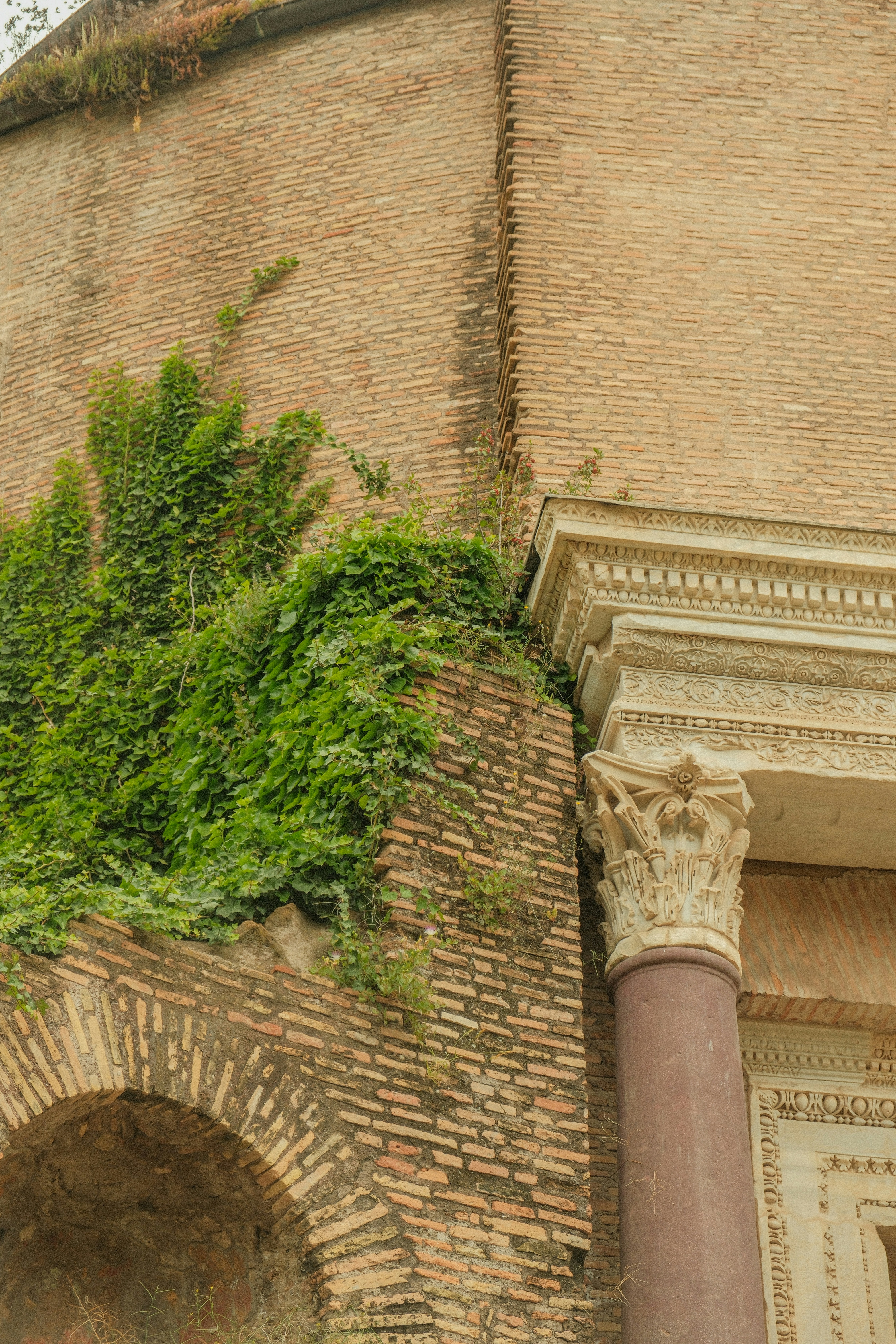 Ivy-Clad Brickwork Framing a Carved Column in a Weathered Façade