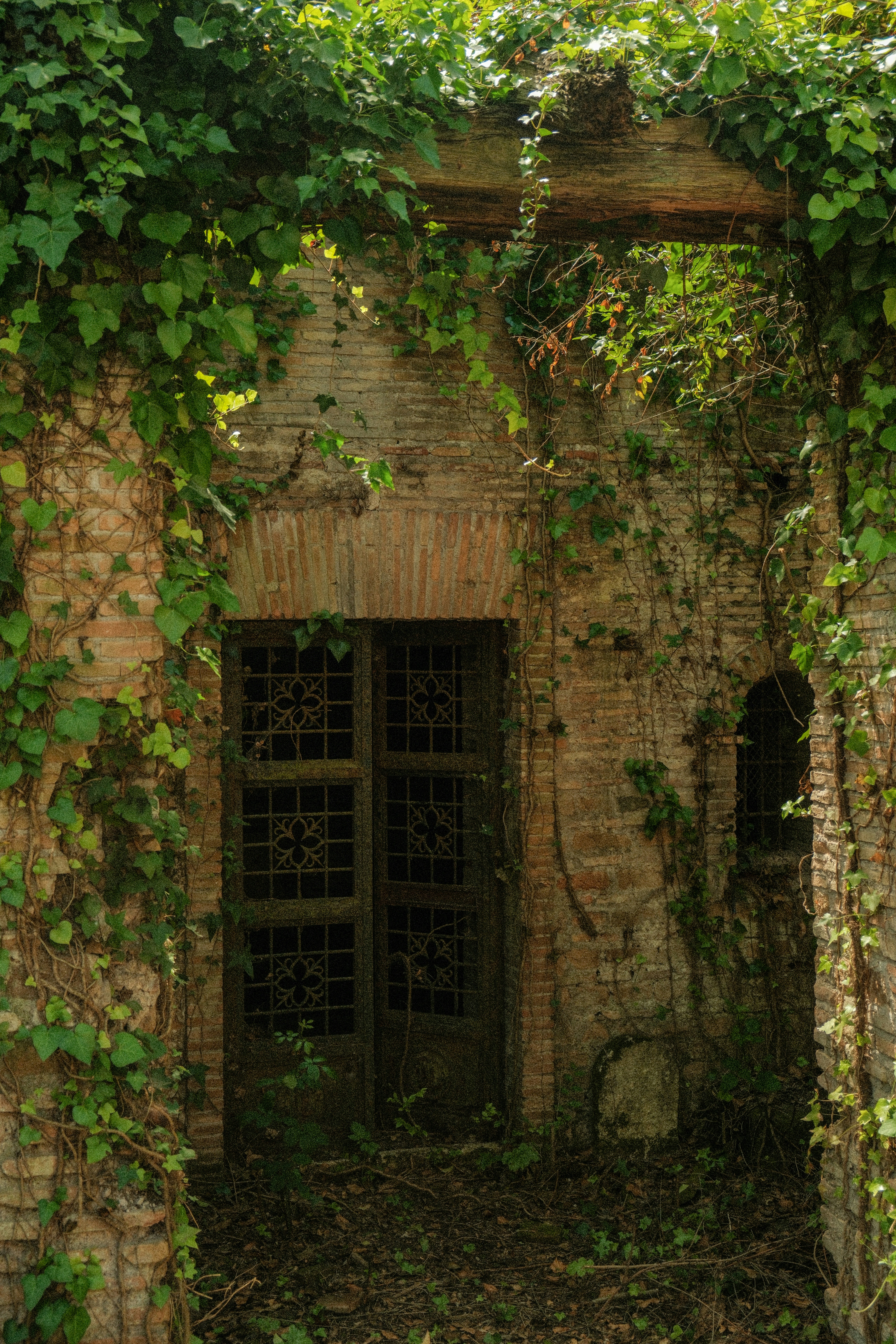 Whispers of Nature's EmbraceAlex Presa