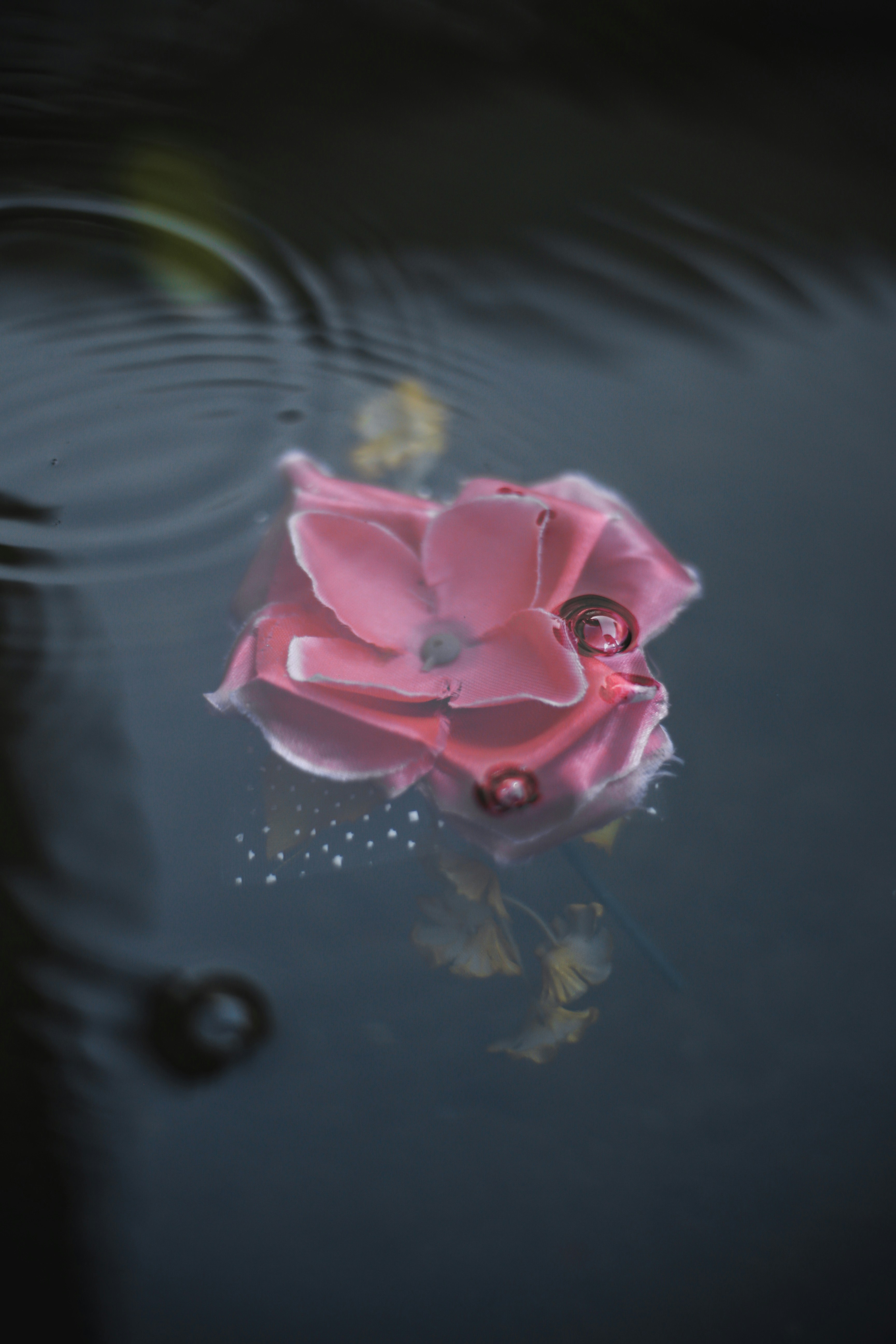 Photo by Muhammad Hassan Javed with Canon EOS 6D