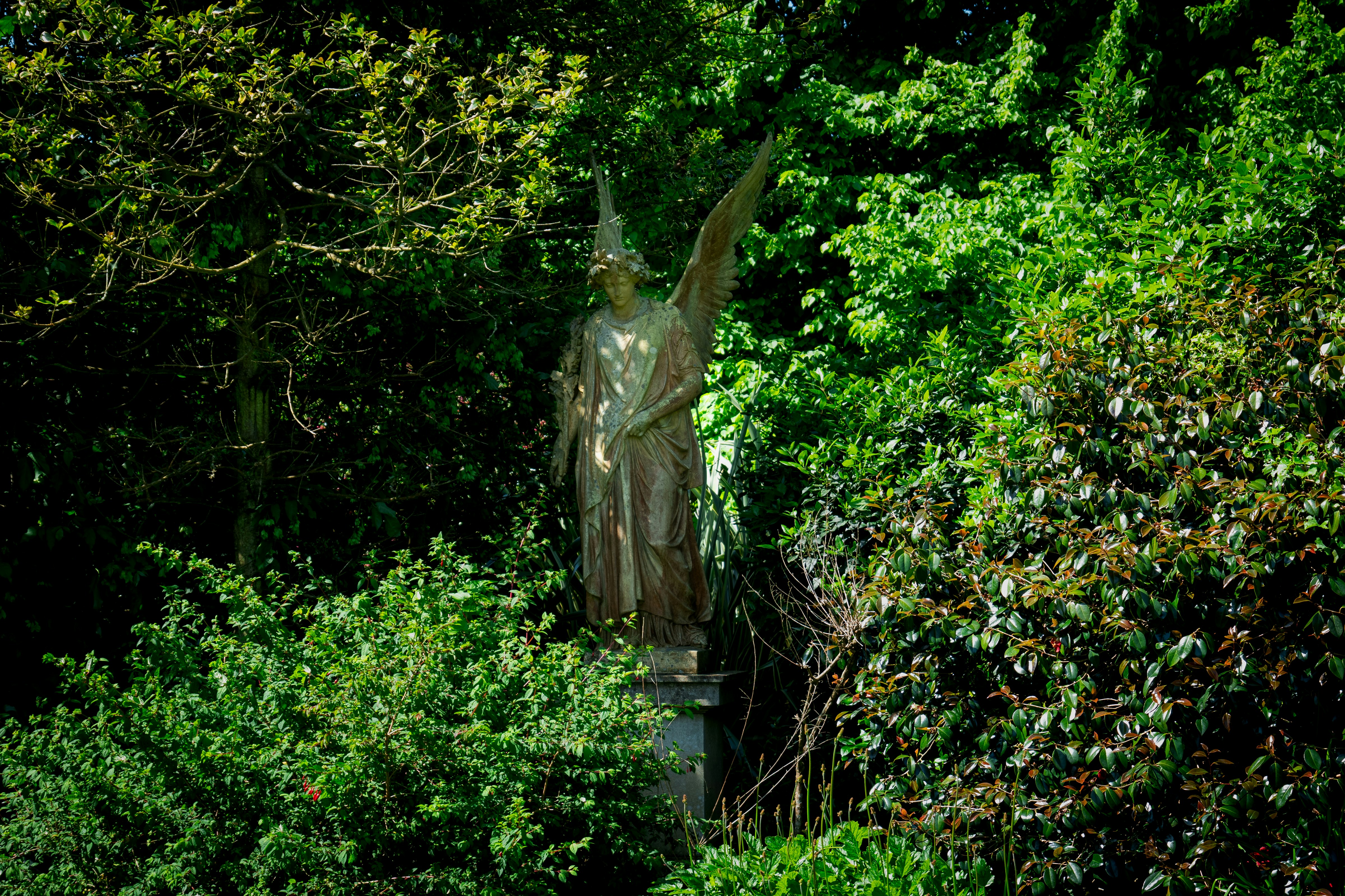 A statue of an angel surrounded by trees photo – Free Green Image on ...