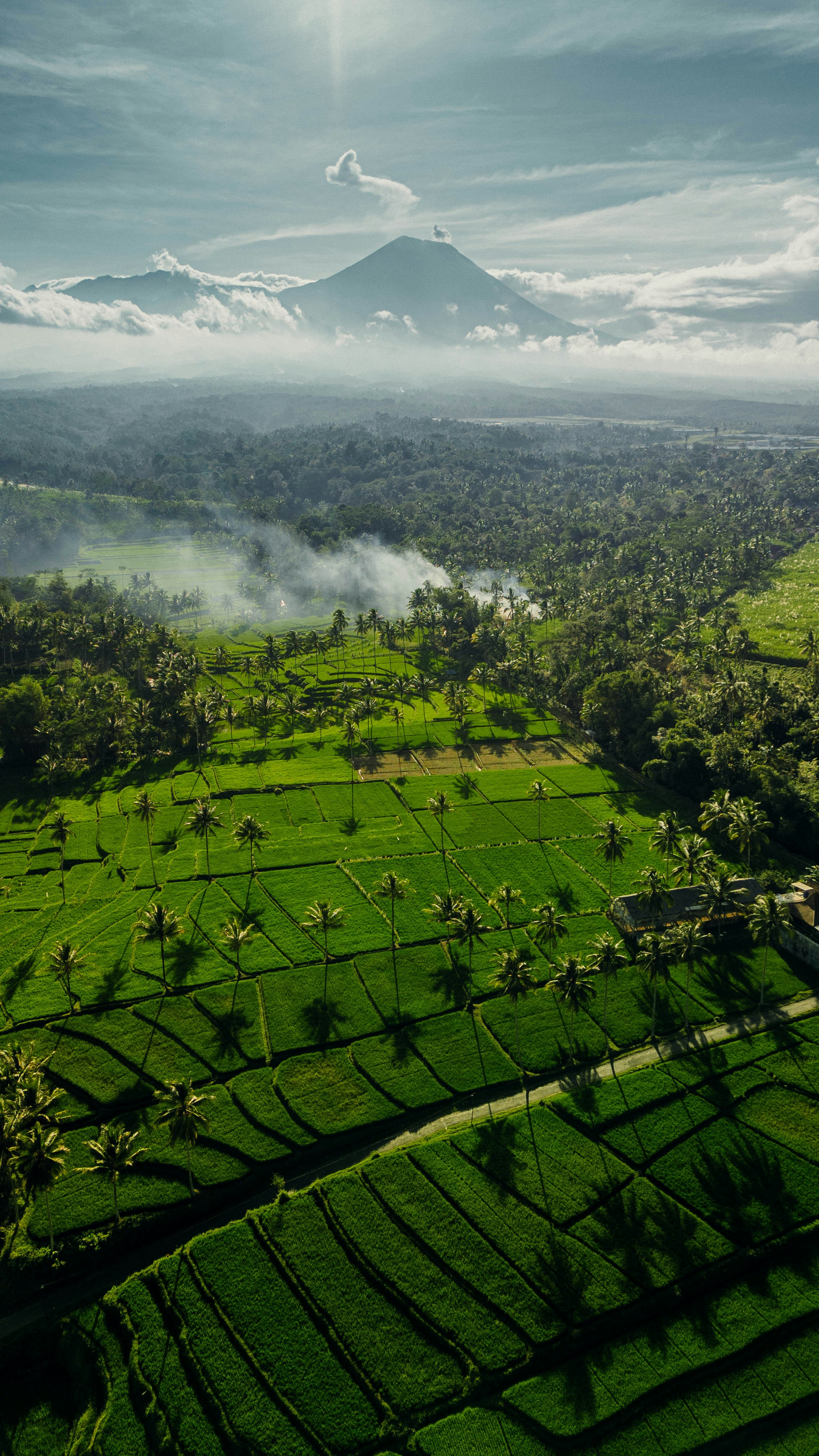 Lush rice terraces extend across the landscape, framed by towering mountains and a misty atmosphere.