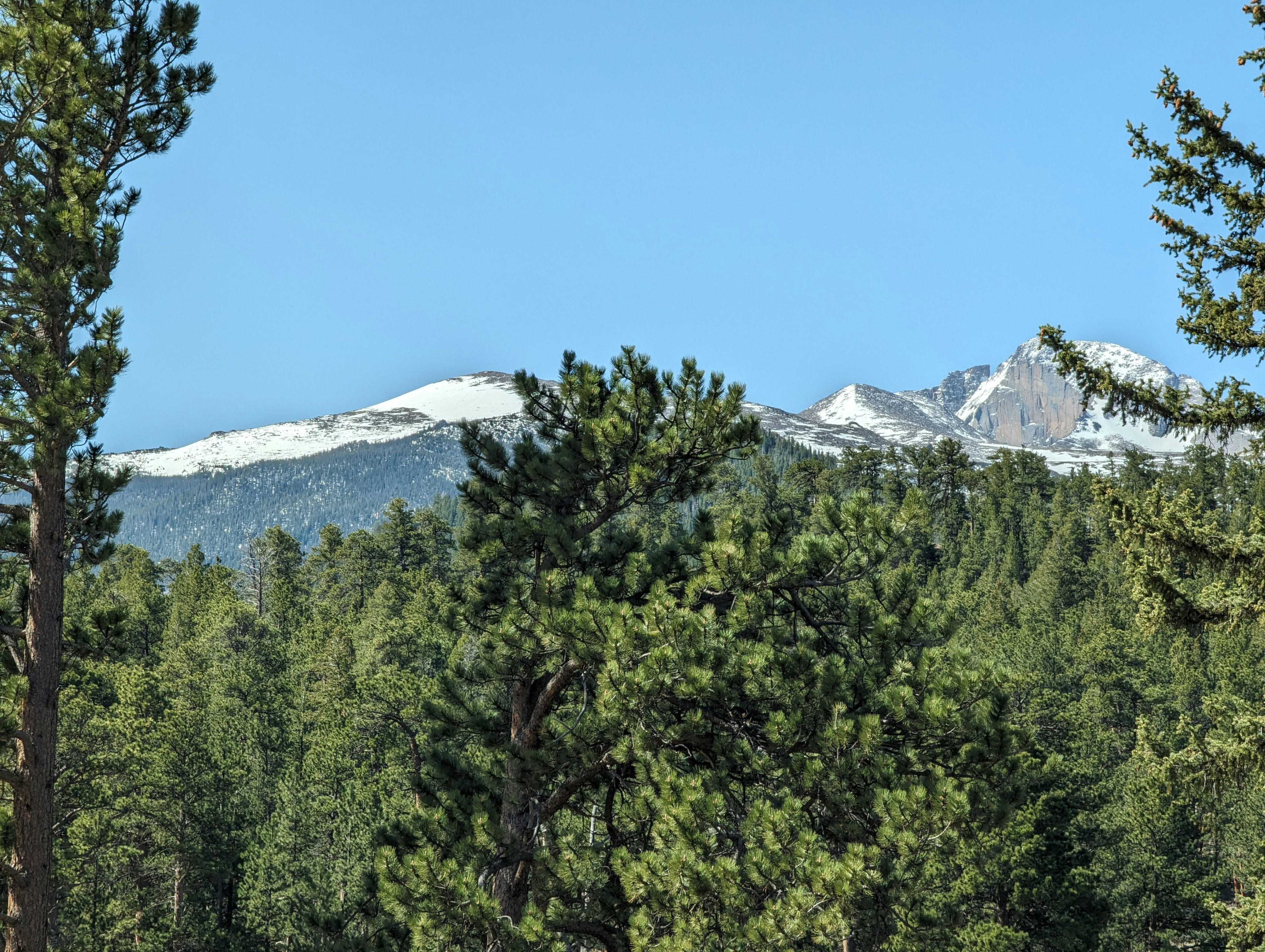 a view of a mountain through the trees