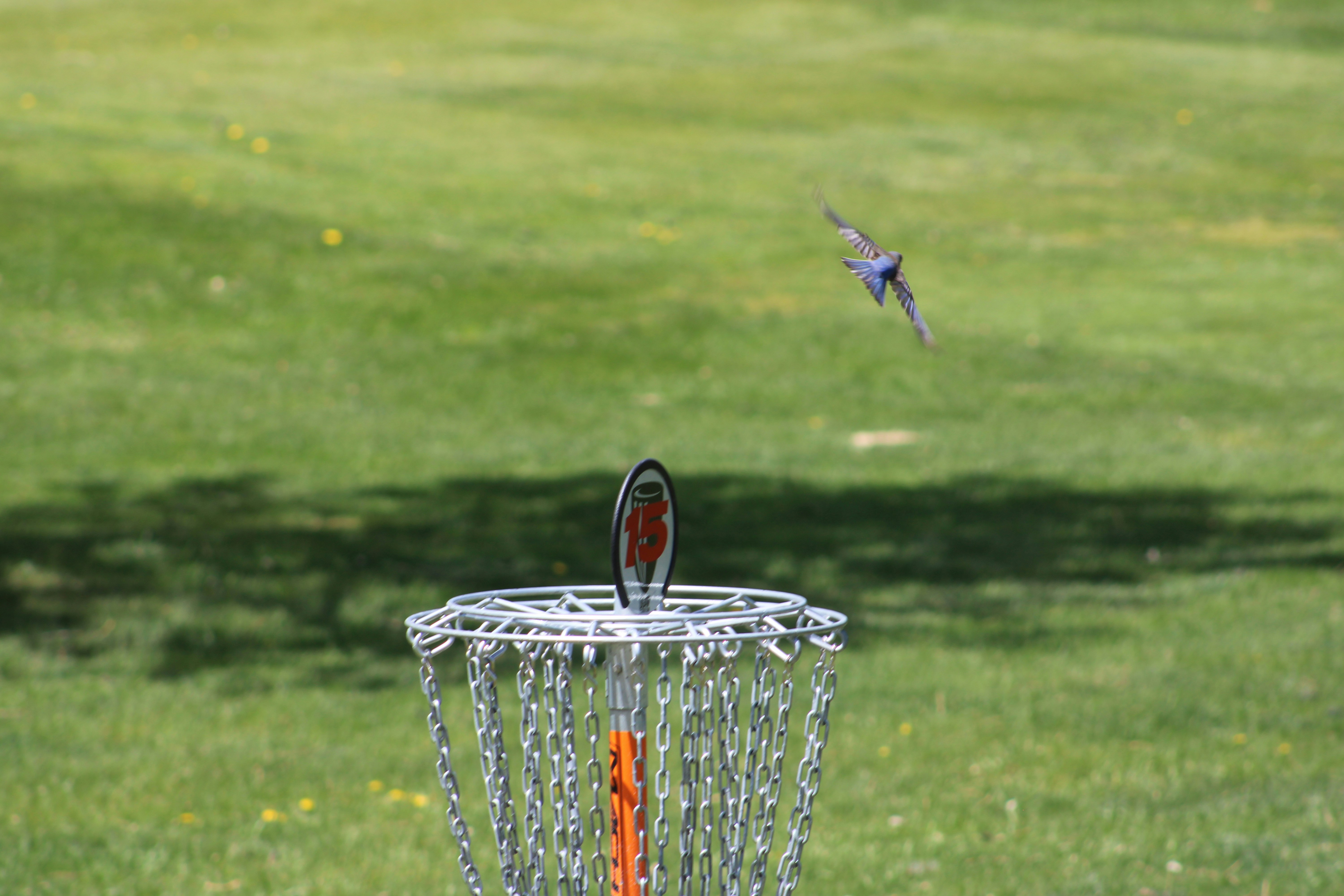 Photo by Jonathan Glass with Canon EOS 2000D