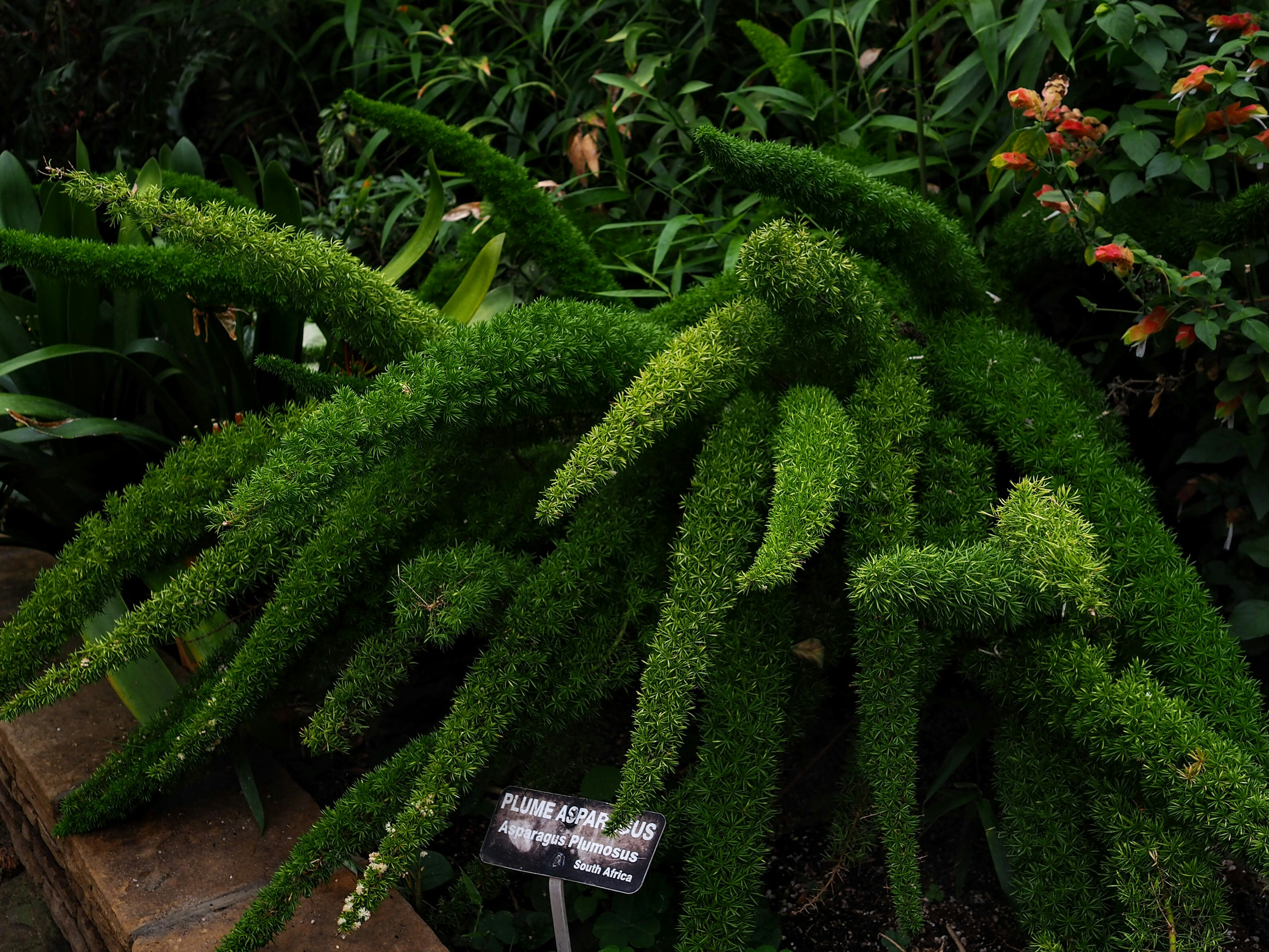 Photo by Dan Crile with Olympus OM-D E-M10 Mark III