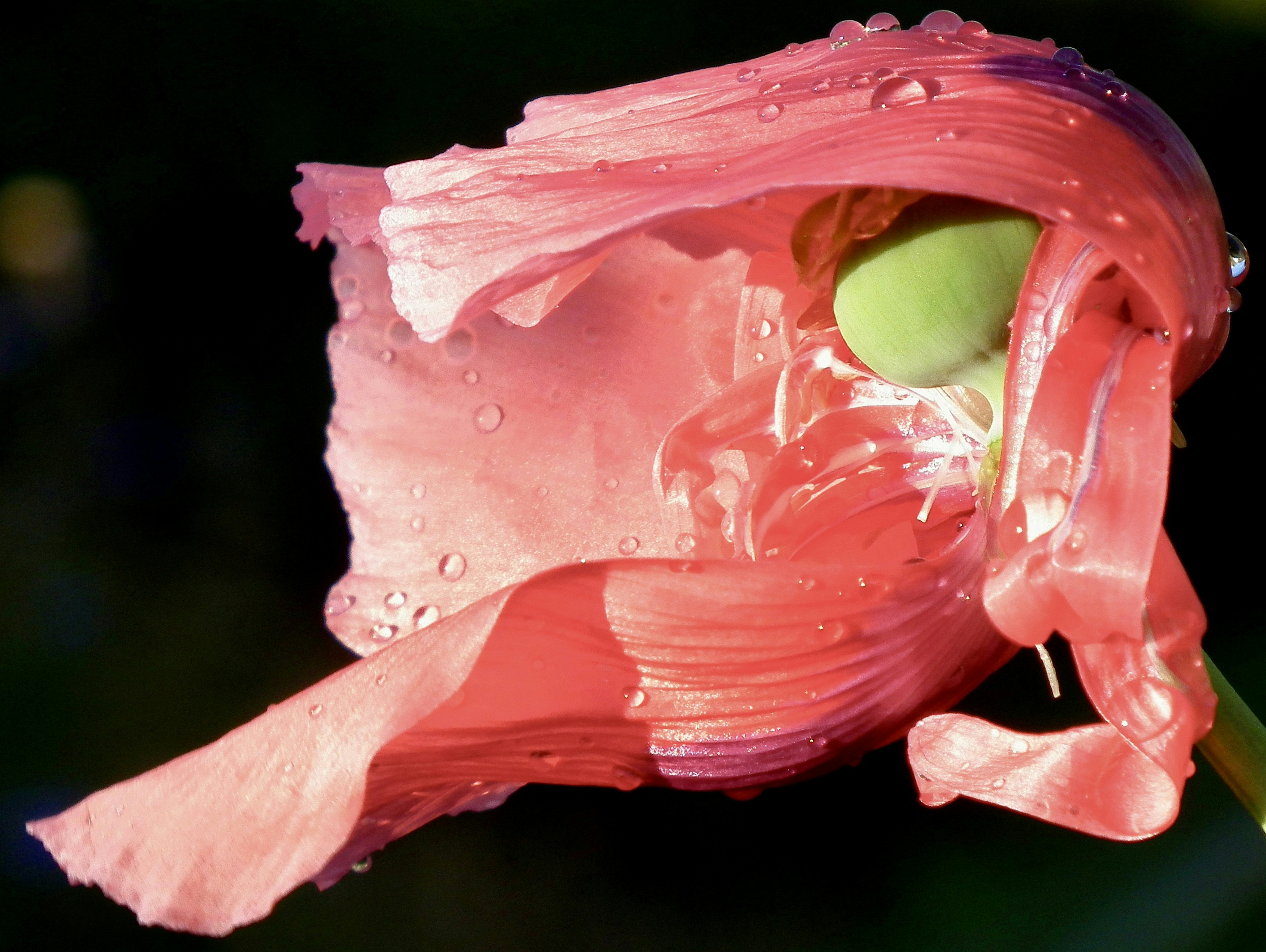 Photo by fred tromp with Fujifilm FinePix HS10