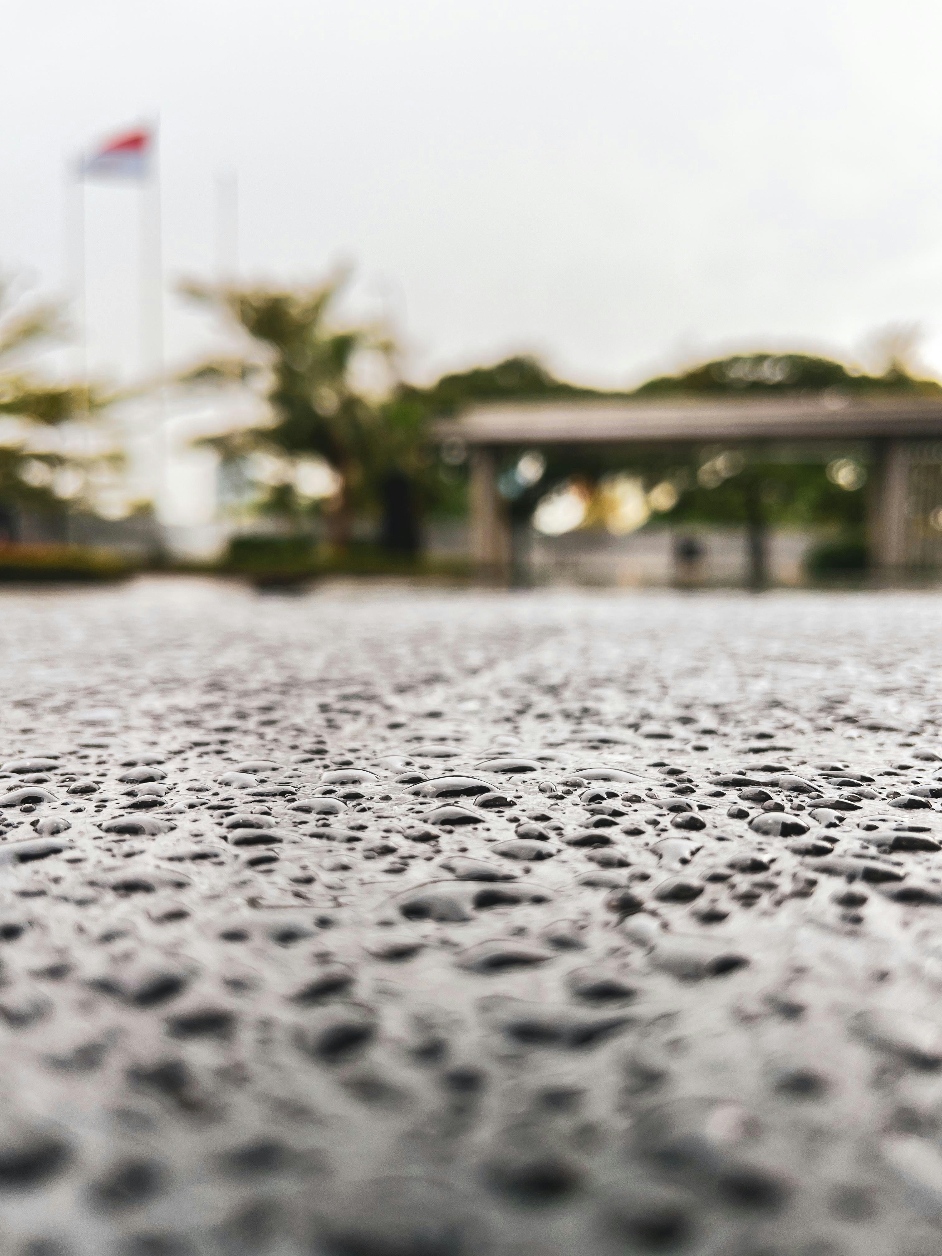 A close up of rain drops on the ground photo – Free Jakarta Image on ...