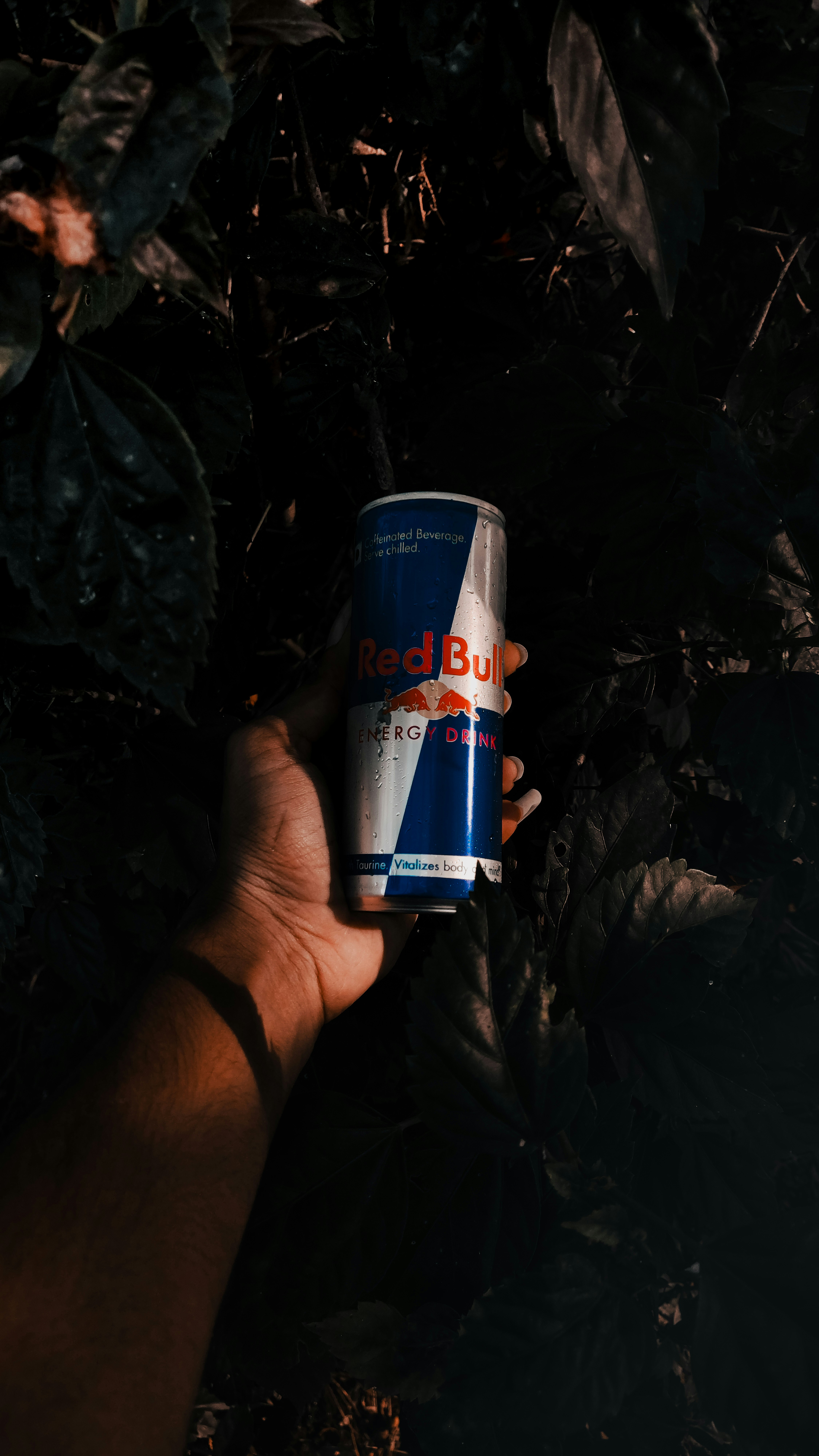 A hand grips a cold Red Bull can in a dim, leafy setting. The Red Bull logo is visible against shadowed foliage.
