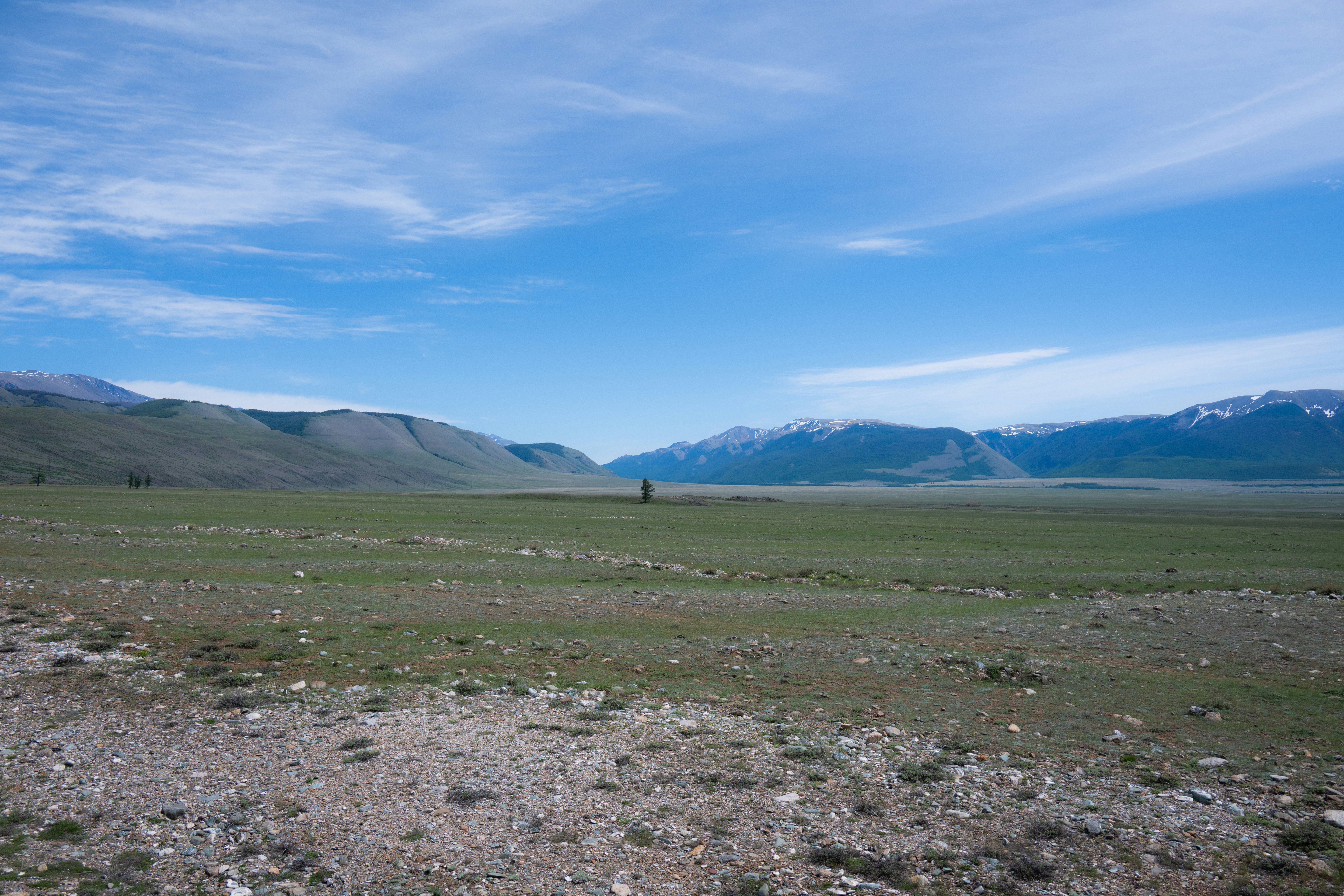 Photo by Andrey Strizhkov with Nikon Z8