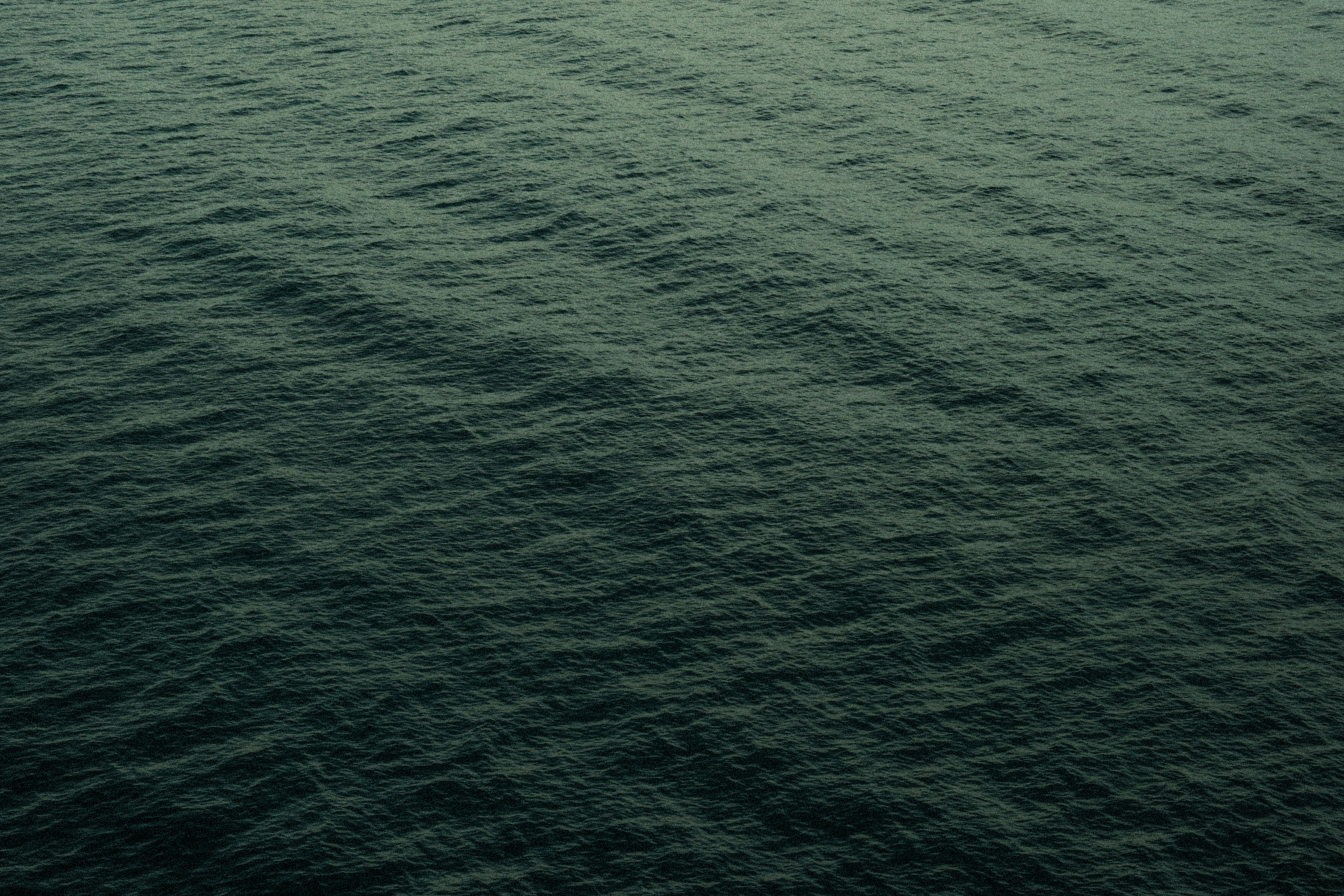 Photo by Alexis Presa with Fujifilm X-T5