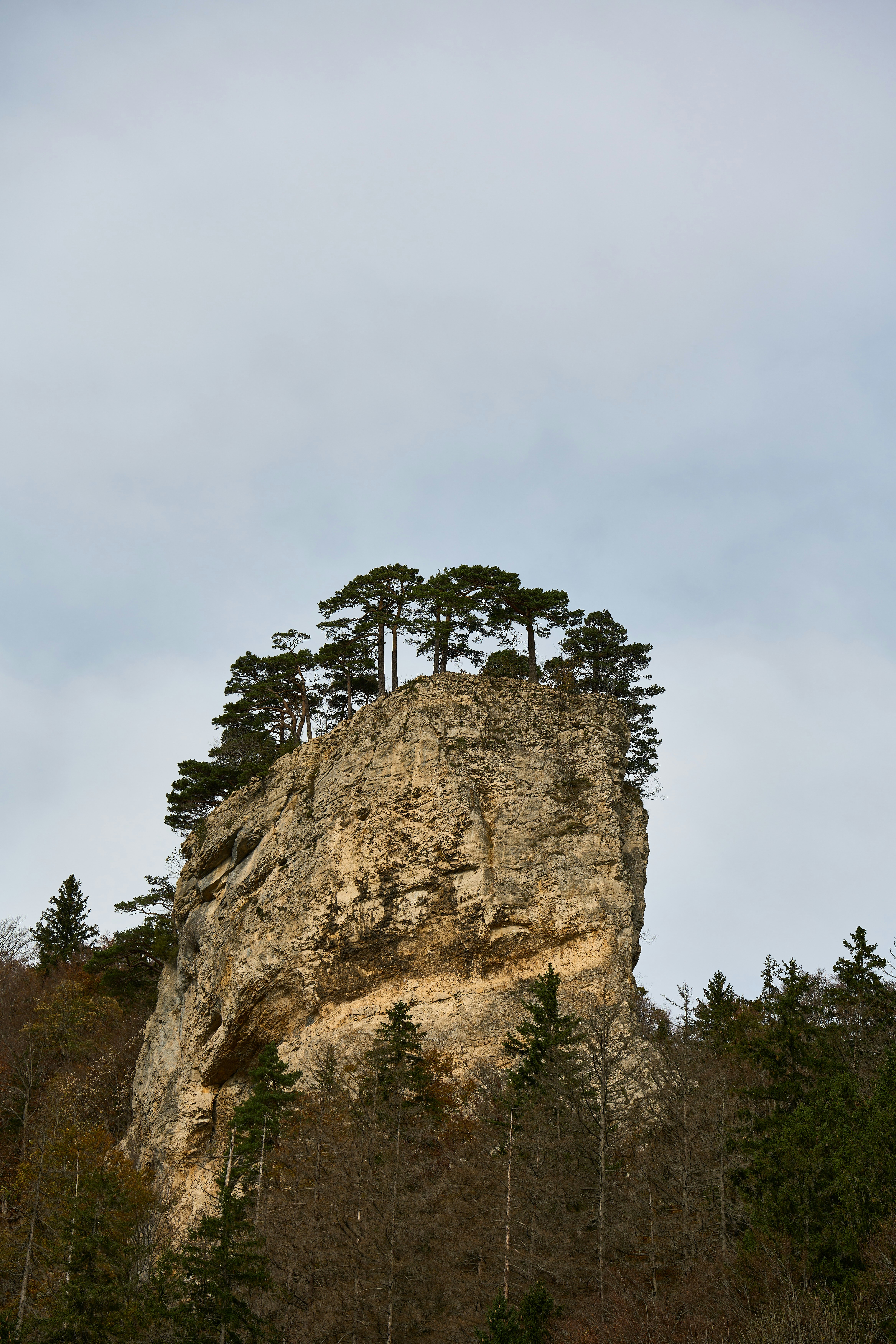 Pine-Crowned Spire: A Granite Pinnacle Rising Above the Winter Forest