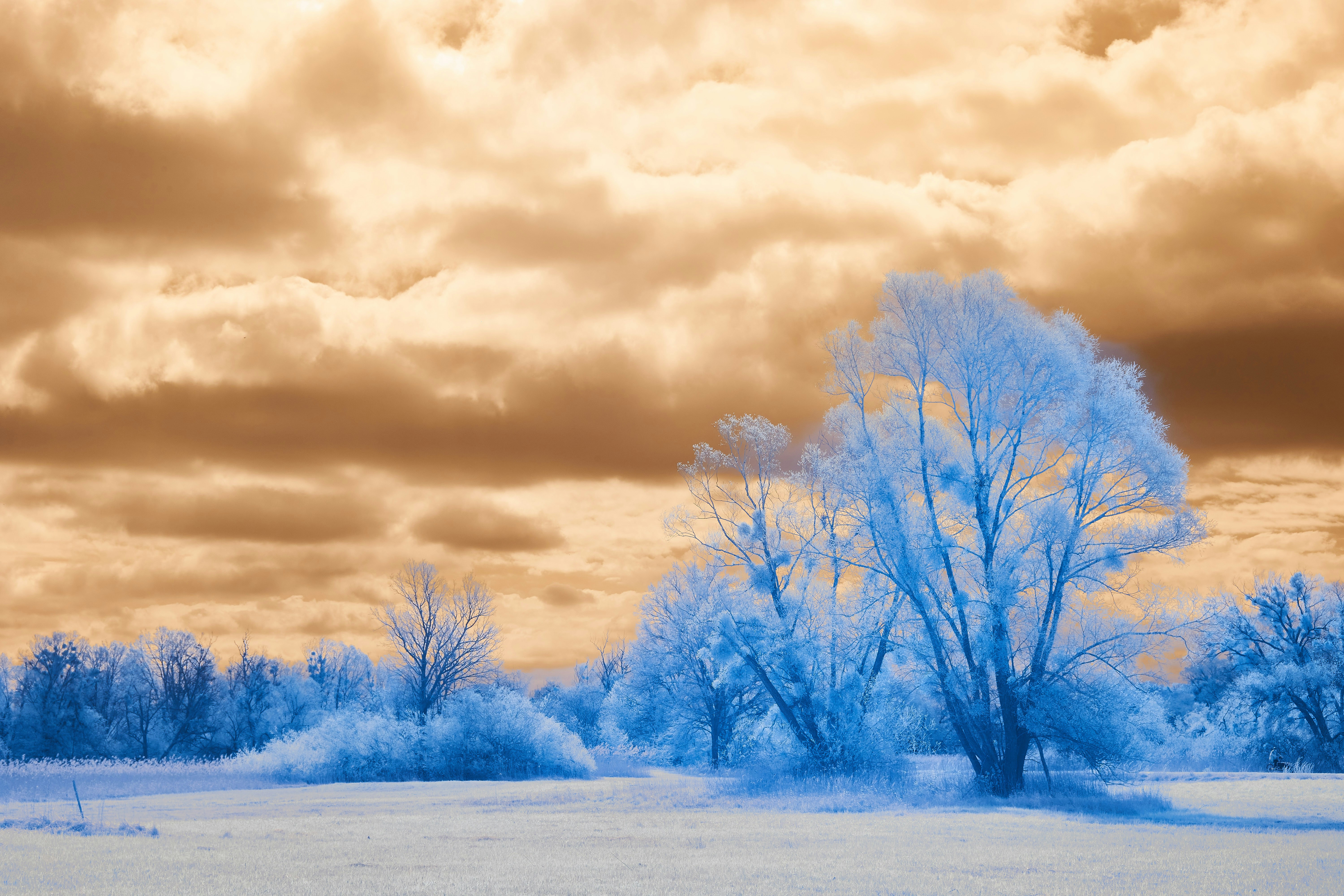 A snowy field with trees and clouds in the background photo – Free Blue ...