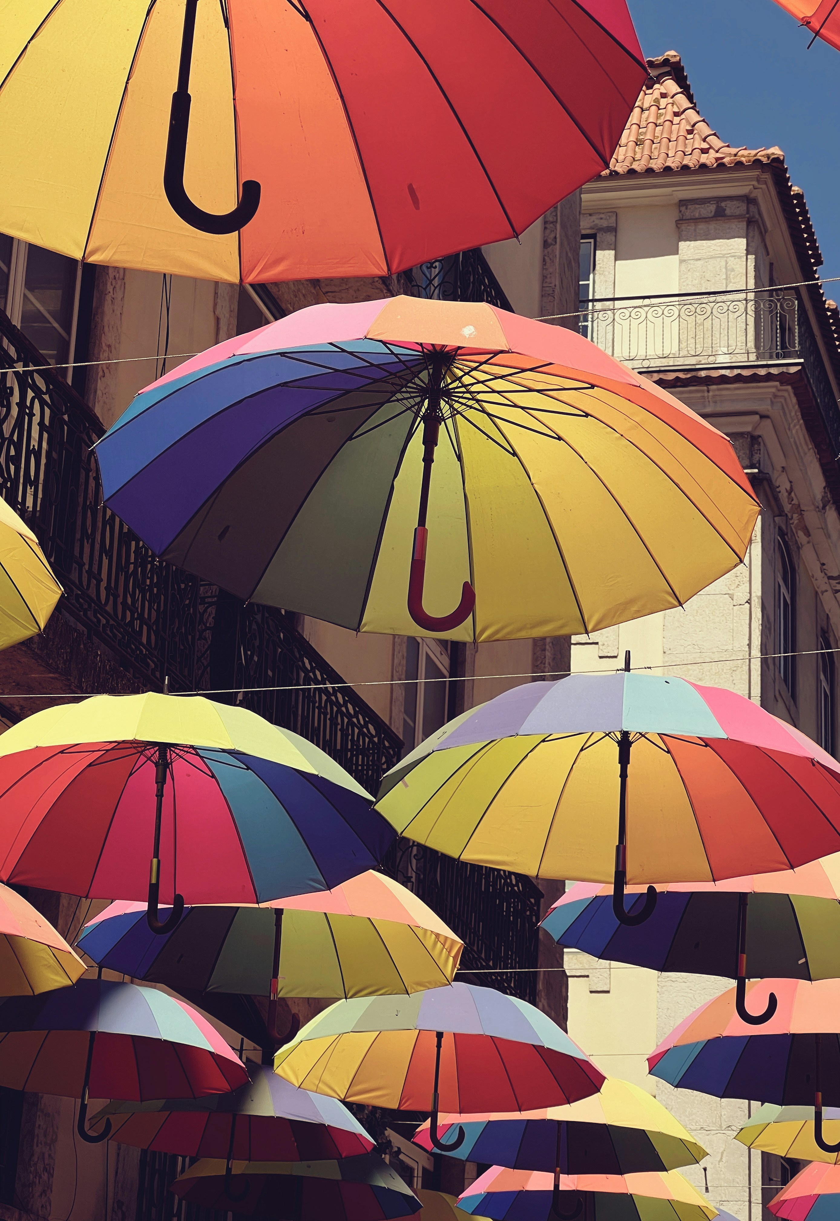 Rainbow Umbrella Canopy Over a Sunlit Street