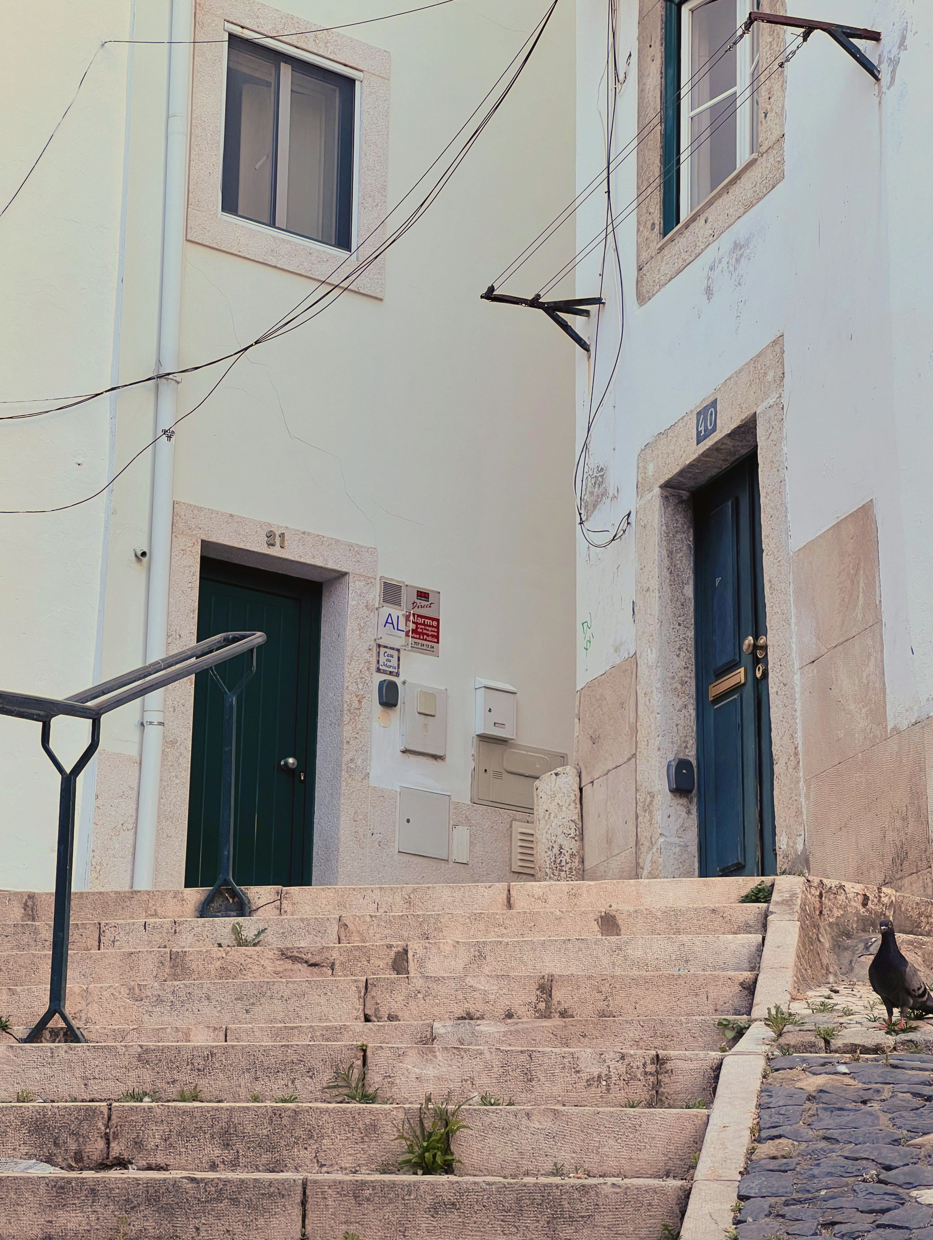 Blue Door Framed by Worn Stone Steps on a Quiet Street
