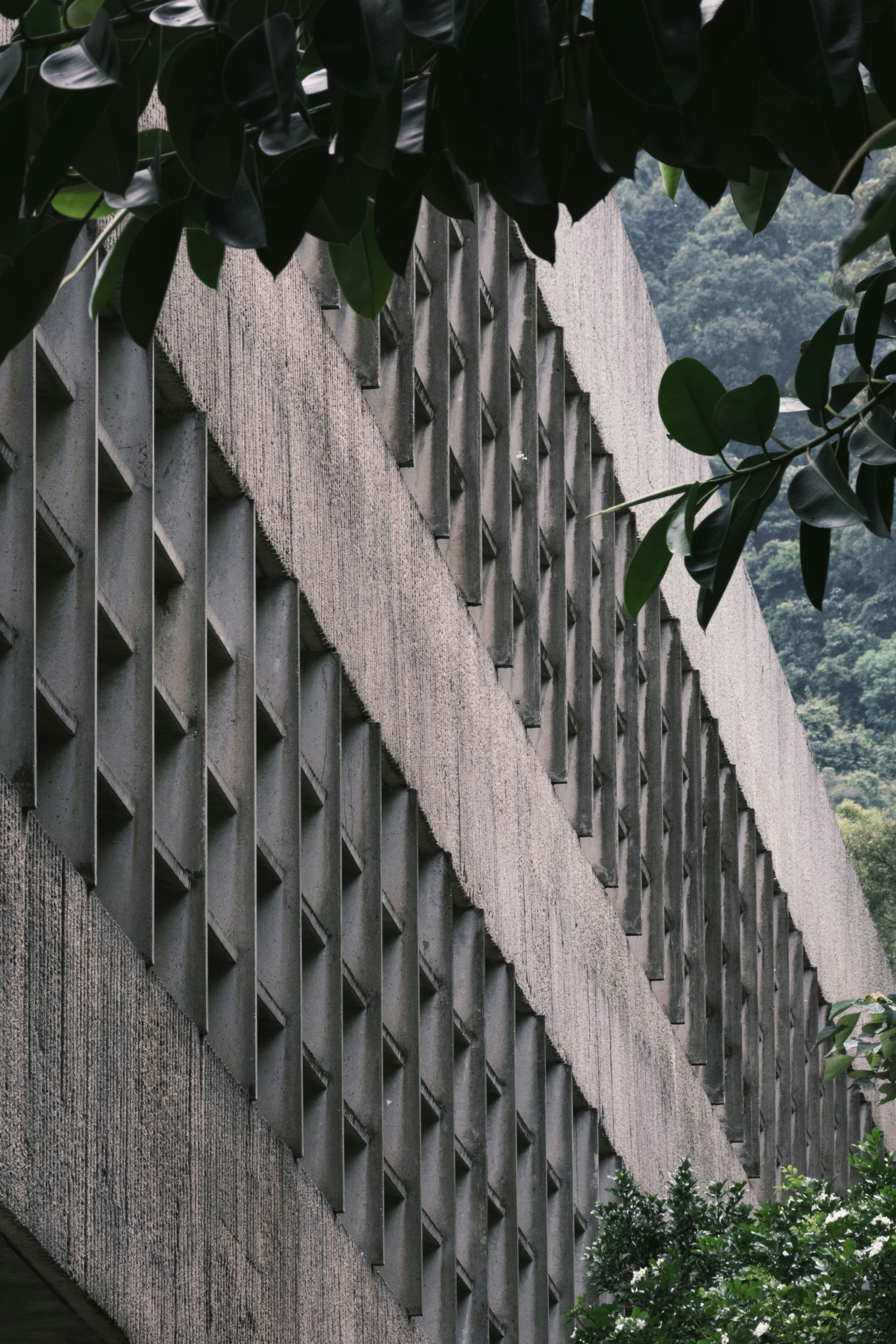 Diagonal Facade Rhythm, Framed by Green Canopy