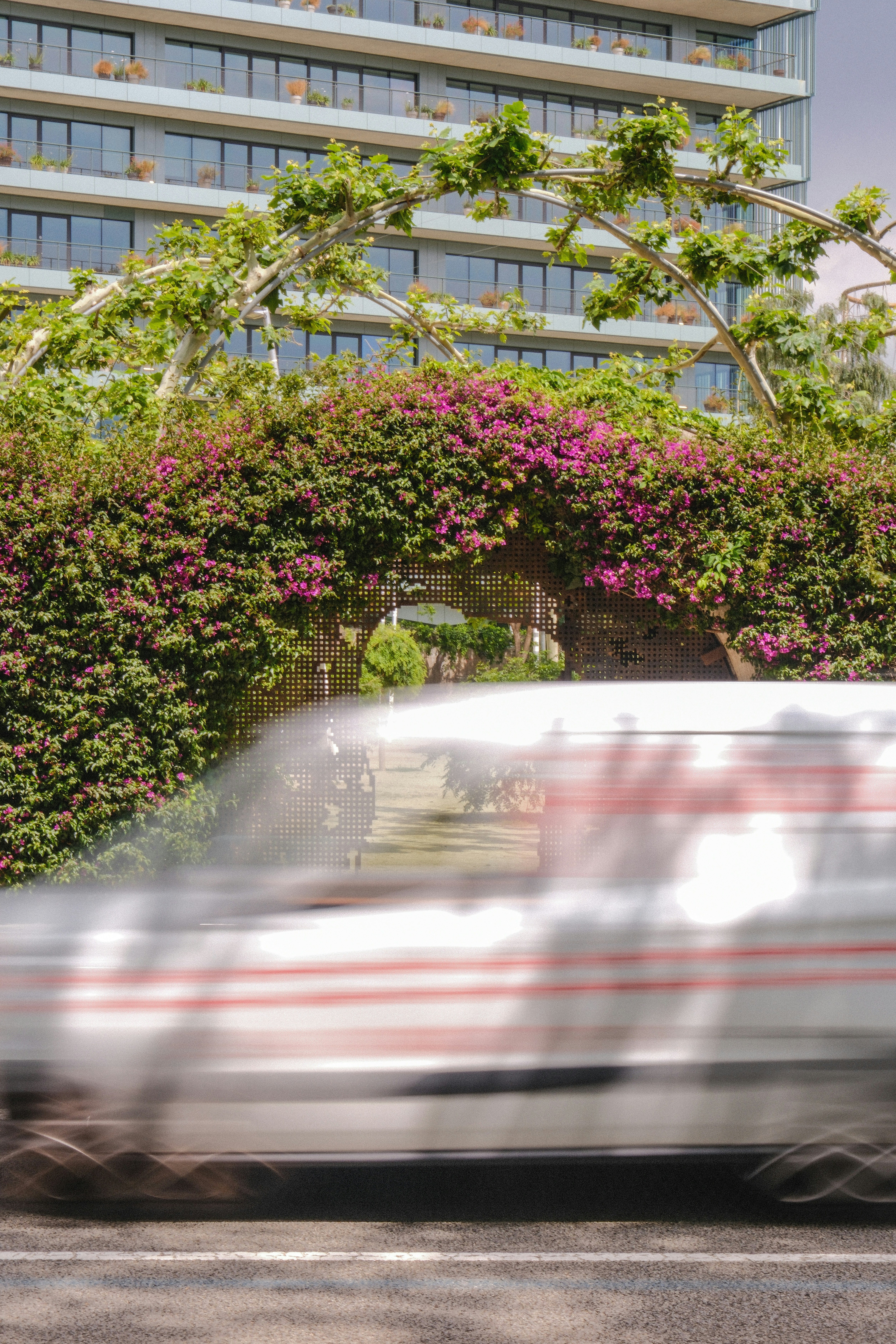 Vine-Arch Frame Before a Glass Facade as Traffic Blurs