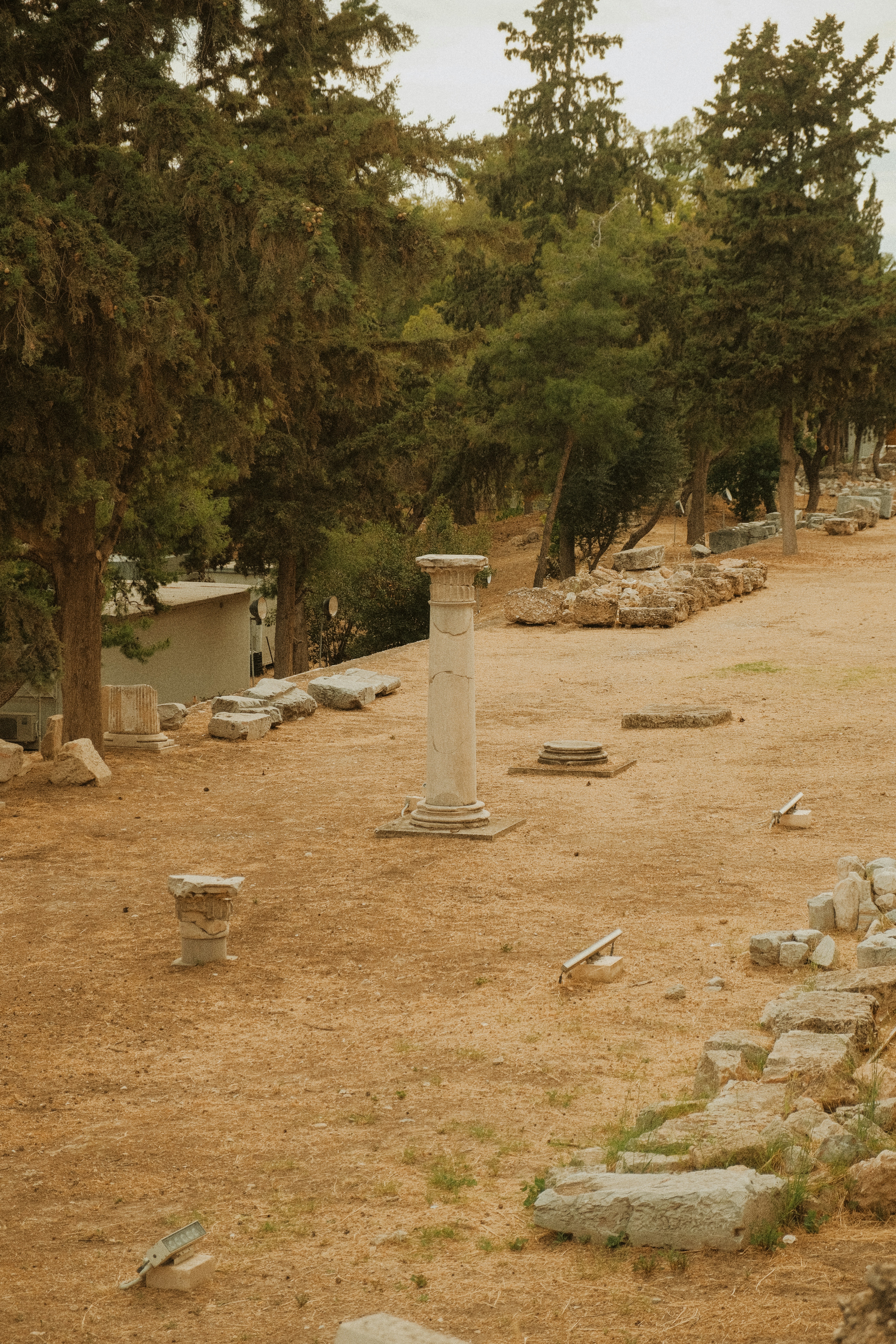 Ancient Columns in a Sun-Baked Grove