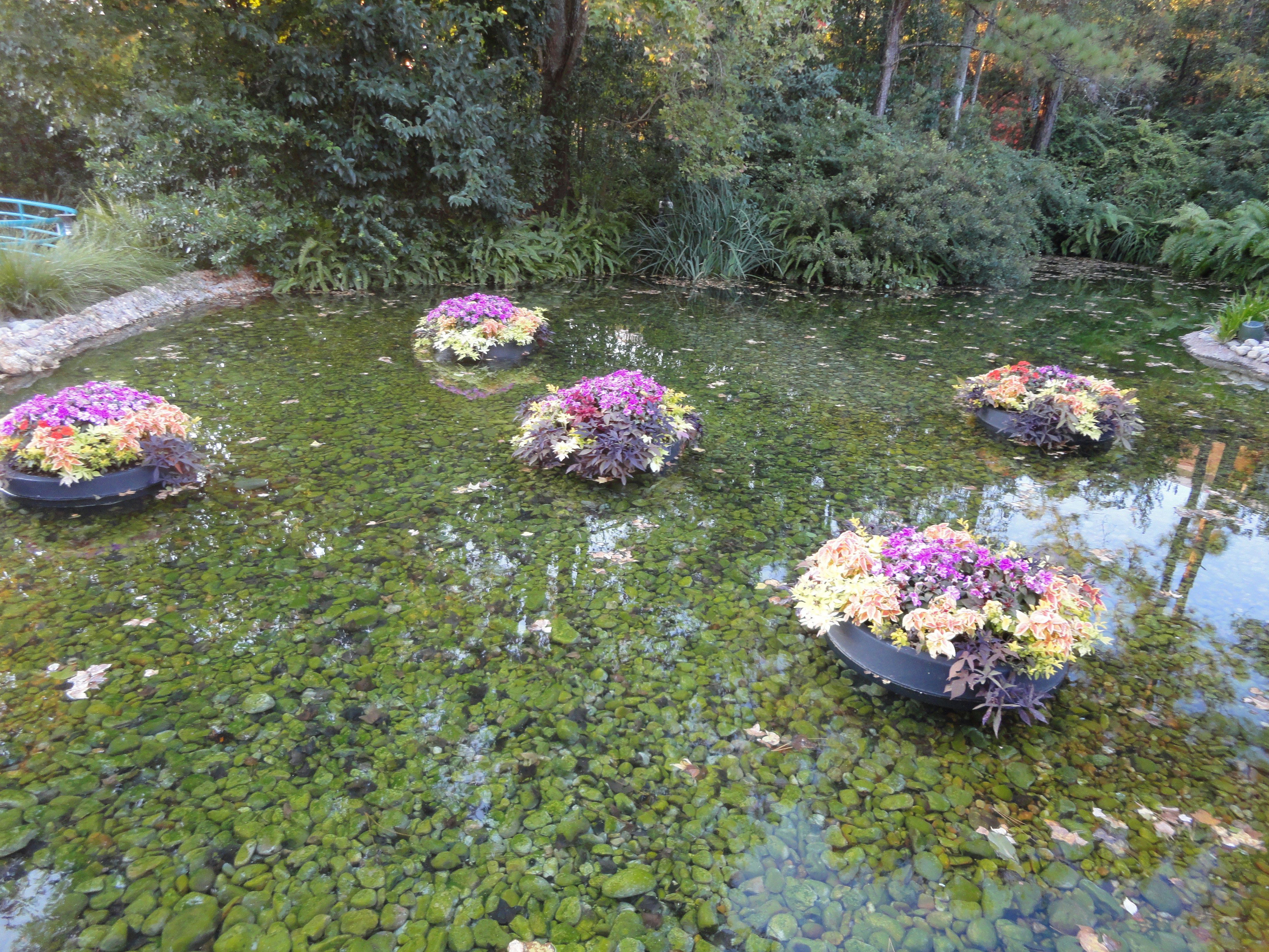 Floating flower-filled planters drift on a lily-pad-covered pond, each pot adorned with pink, purple, and yellow blooms. Lush trees frame the scene.