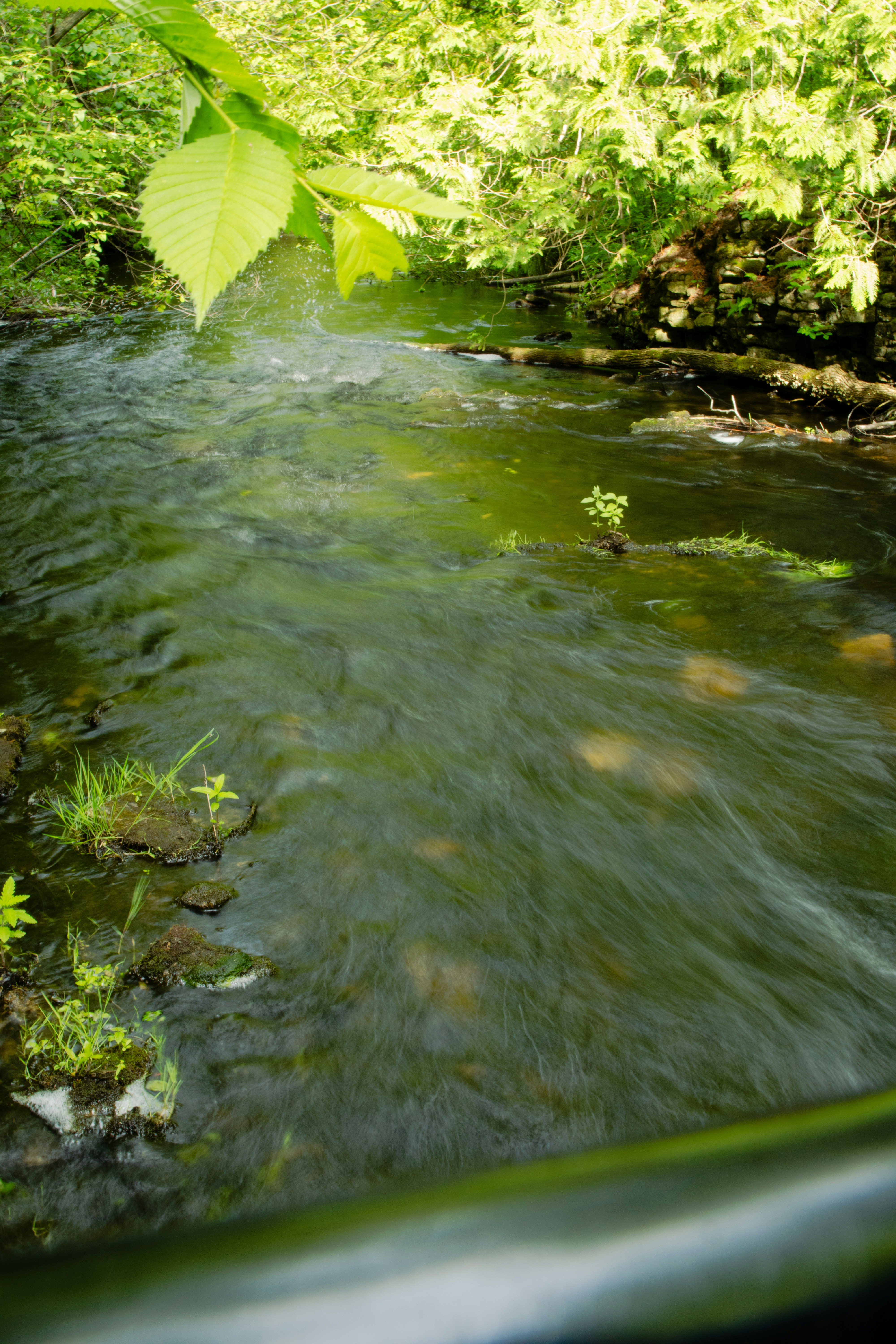 A long exposure shot of a river out in Milton.