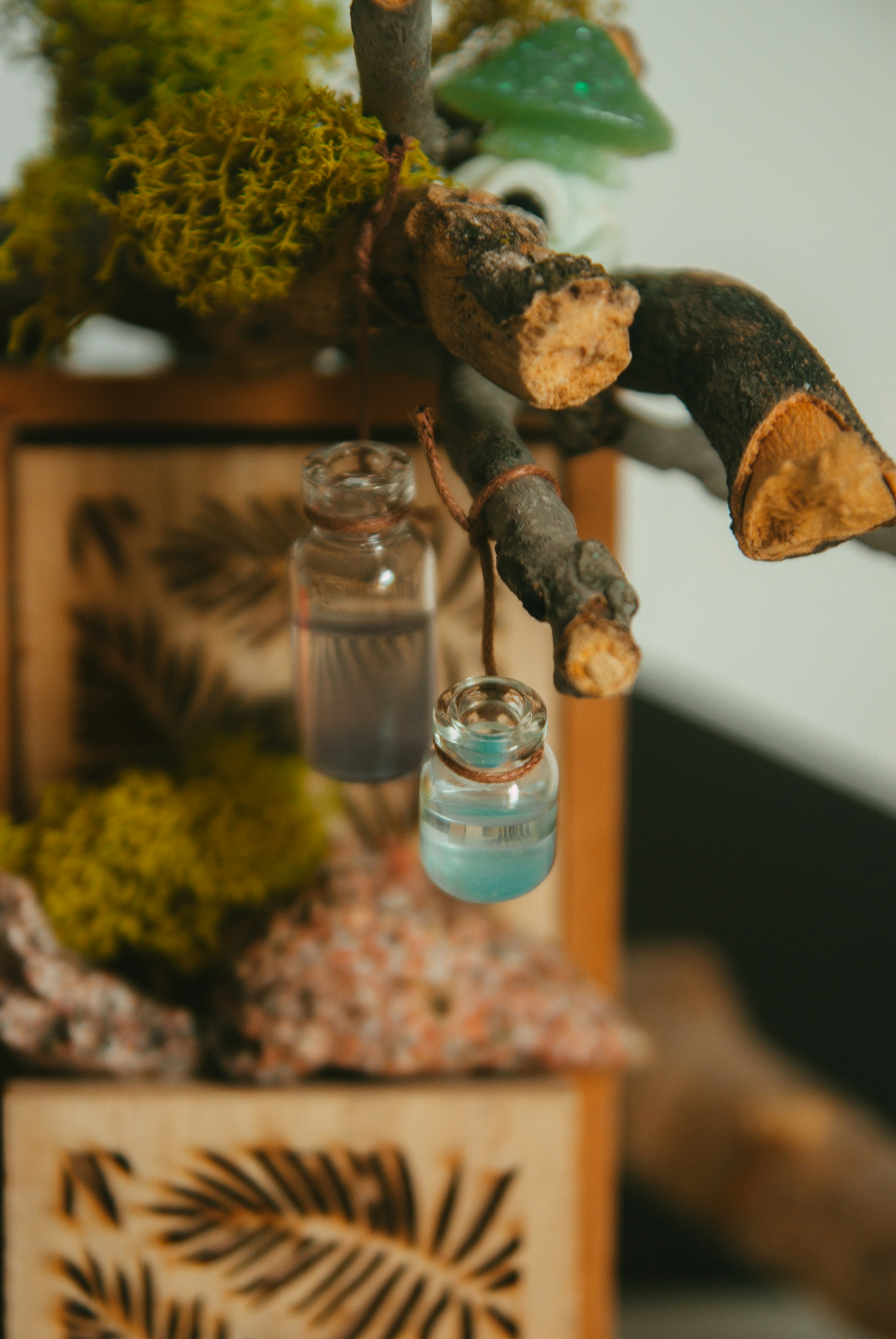 Two glass vials hang from a weathered twig amid moss, set against a carved wooden crate in a botanical-inspired still life.