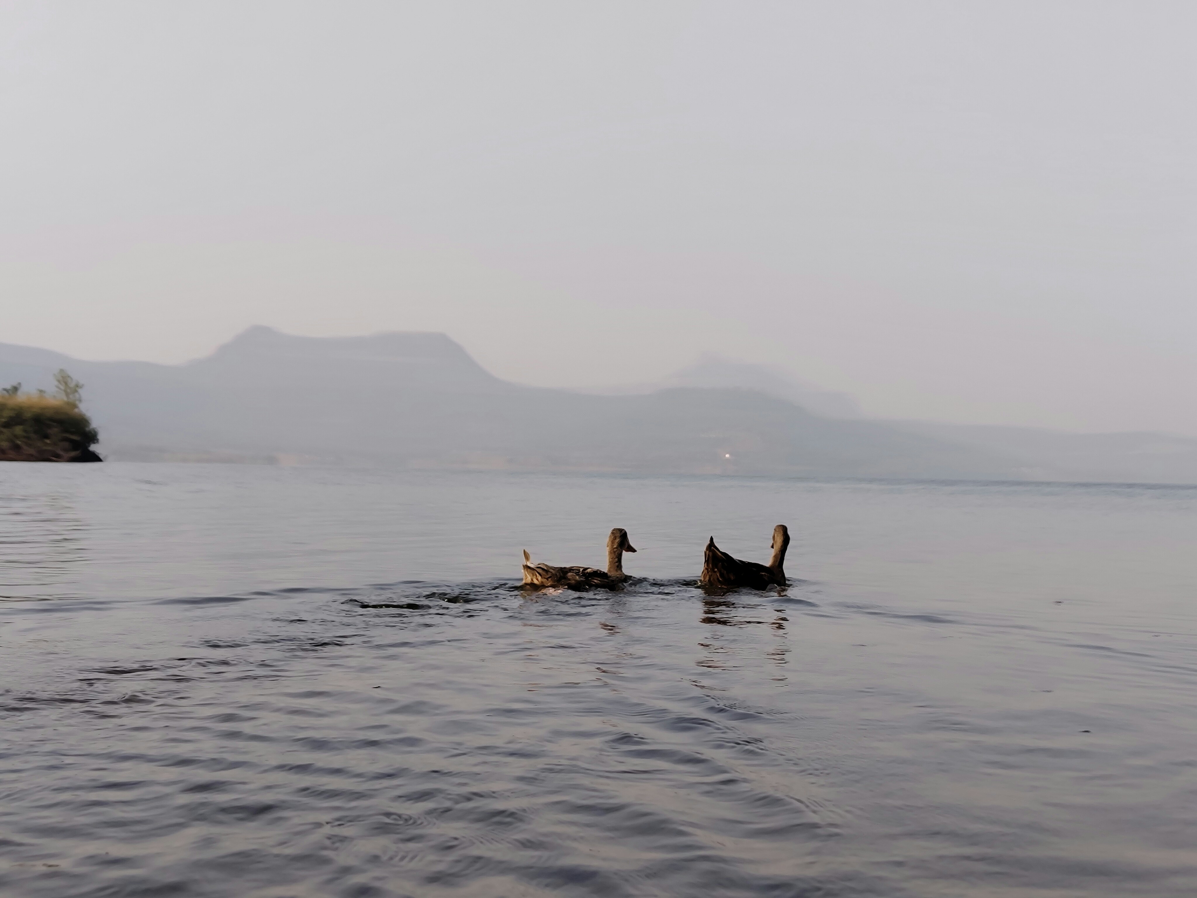 Photo by Jayesh Sharma with Nothing Phone 1