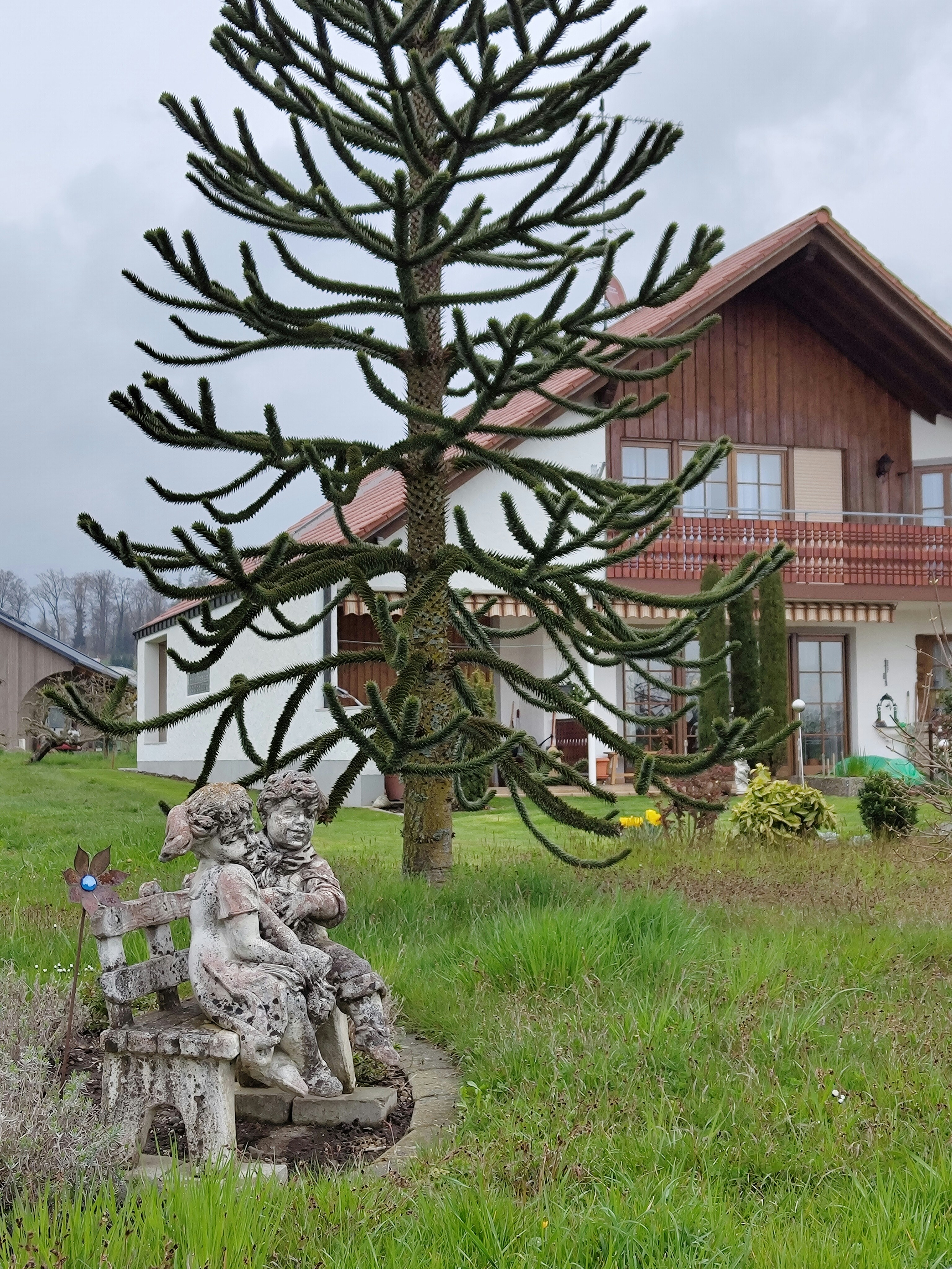 Photo by Jayesh Sharma with Nothing Phone 1