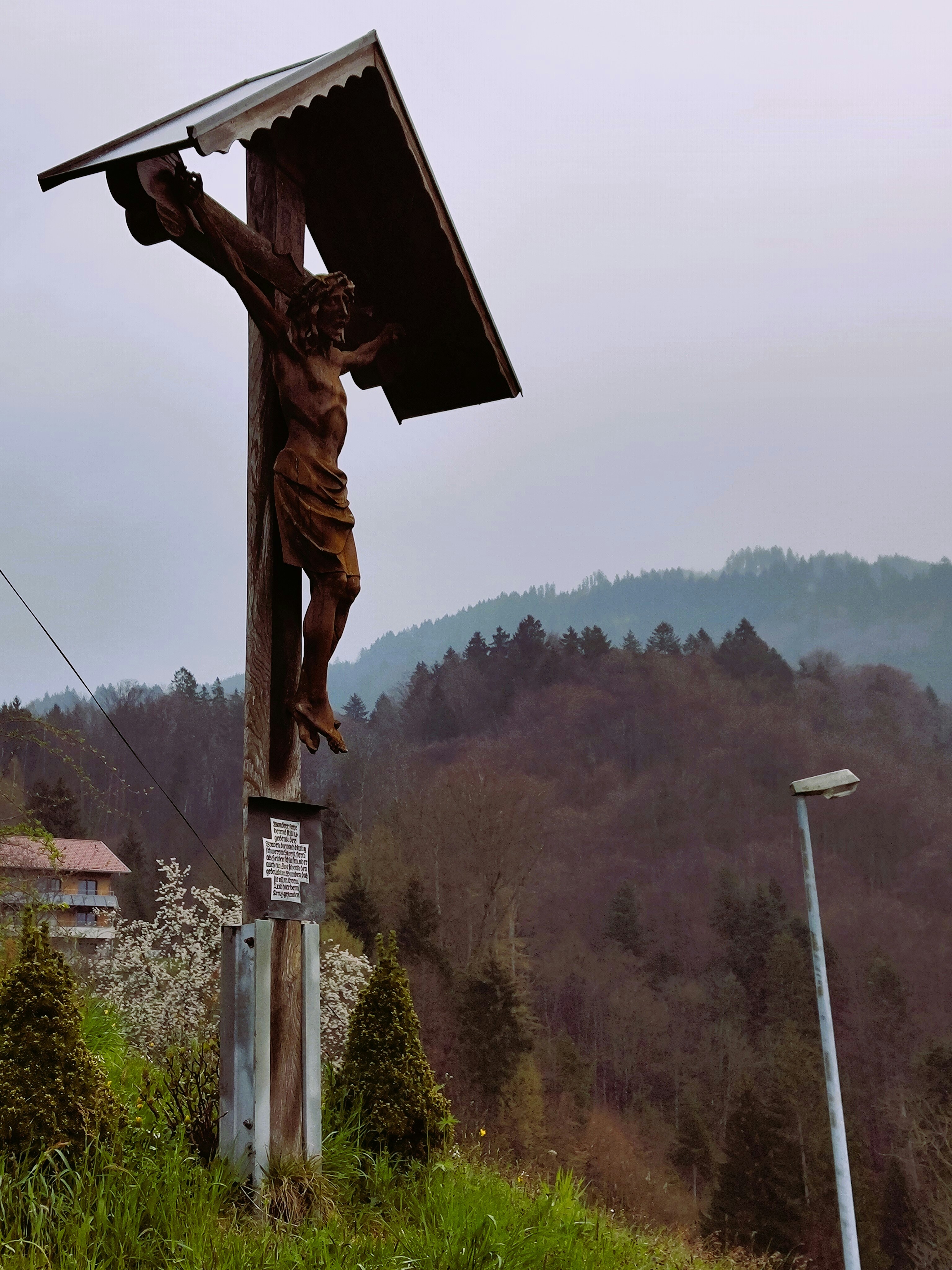 Photo by Jayesh Sharma with Nothing Phone 1