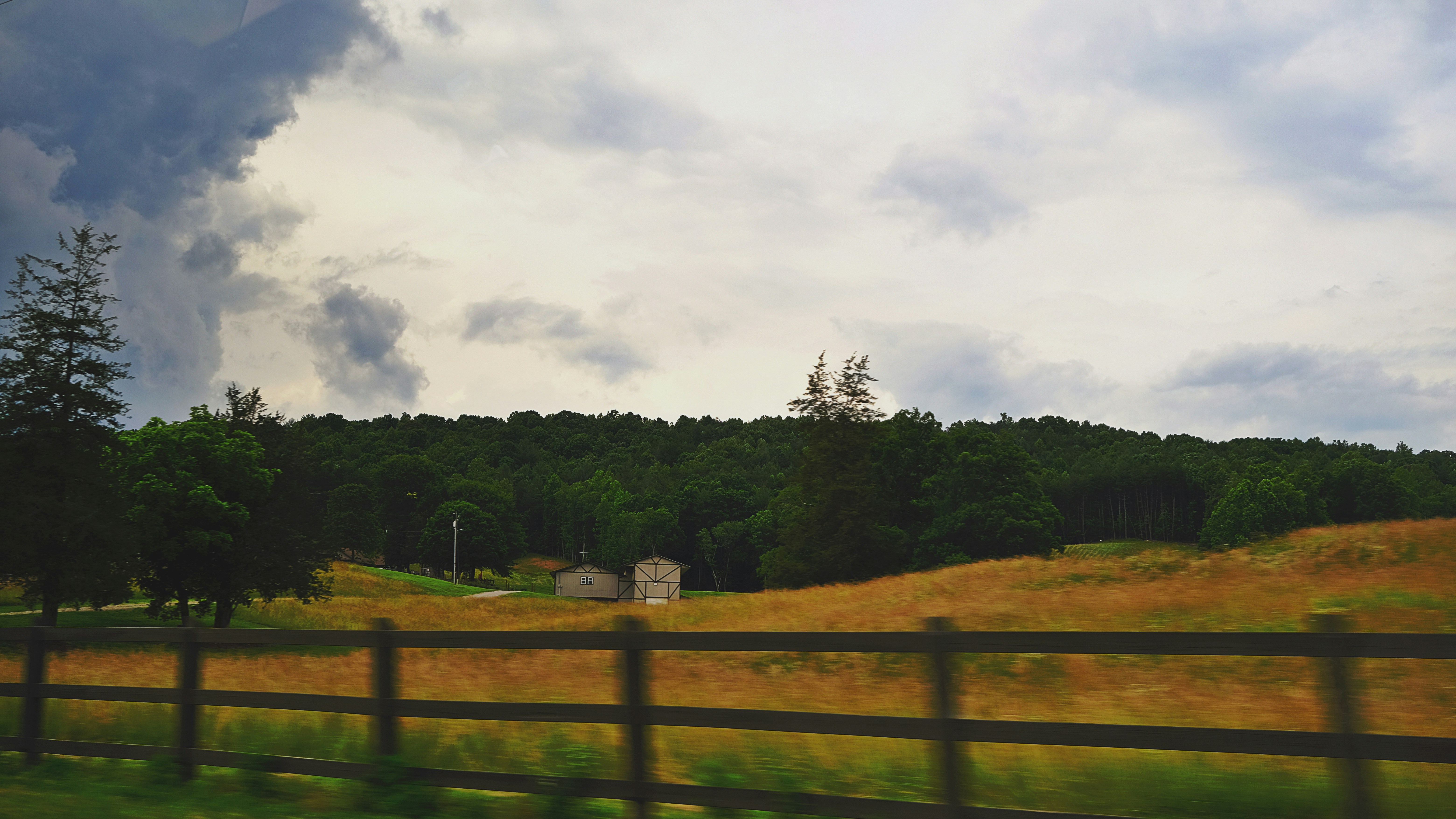 Golden Meadow Behind a Weathered Fence Under a Cloudy Sky