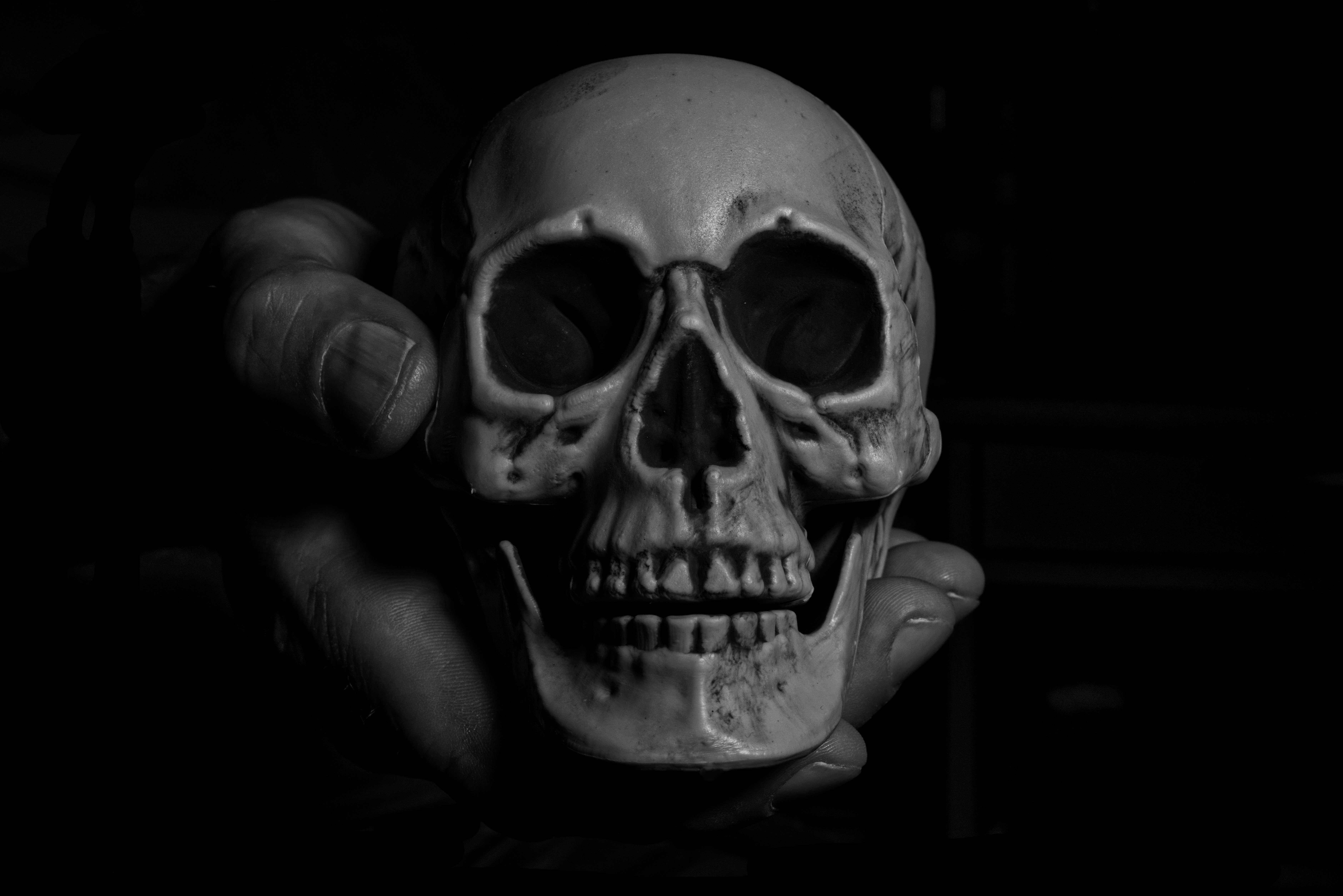 A person holding a fake human skull in their hand photo – Free Hand ...
